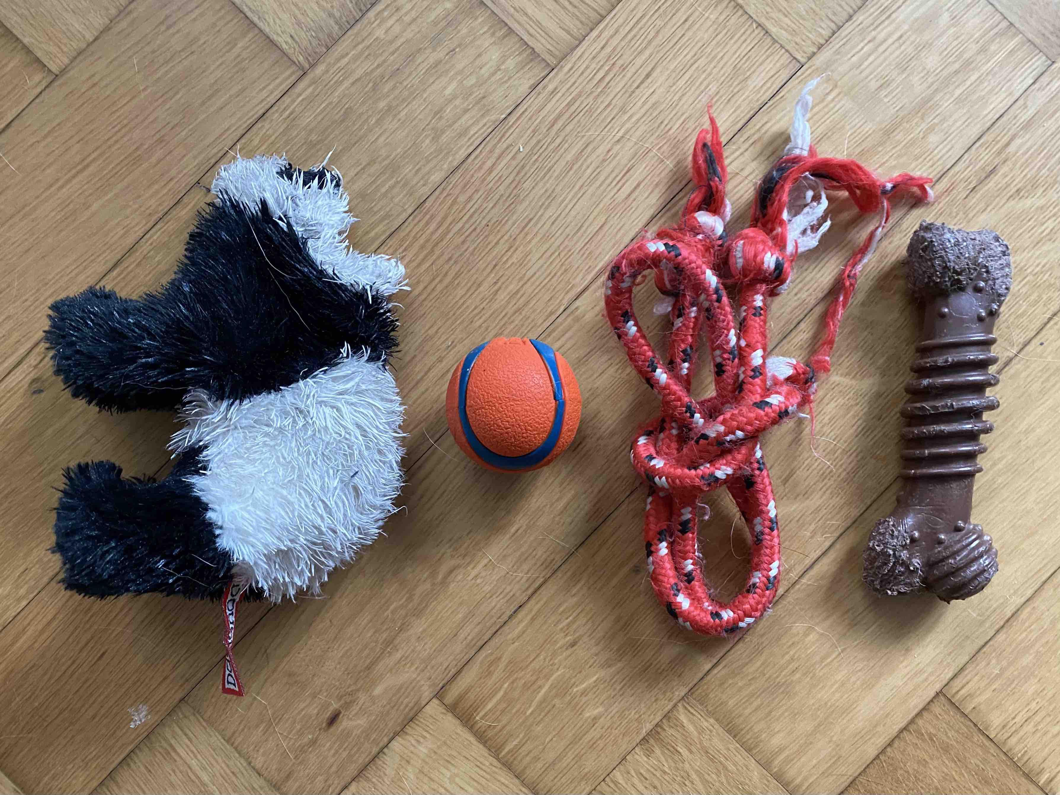 My dog's (2M) EDC | Scrolller