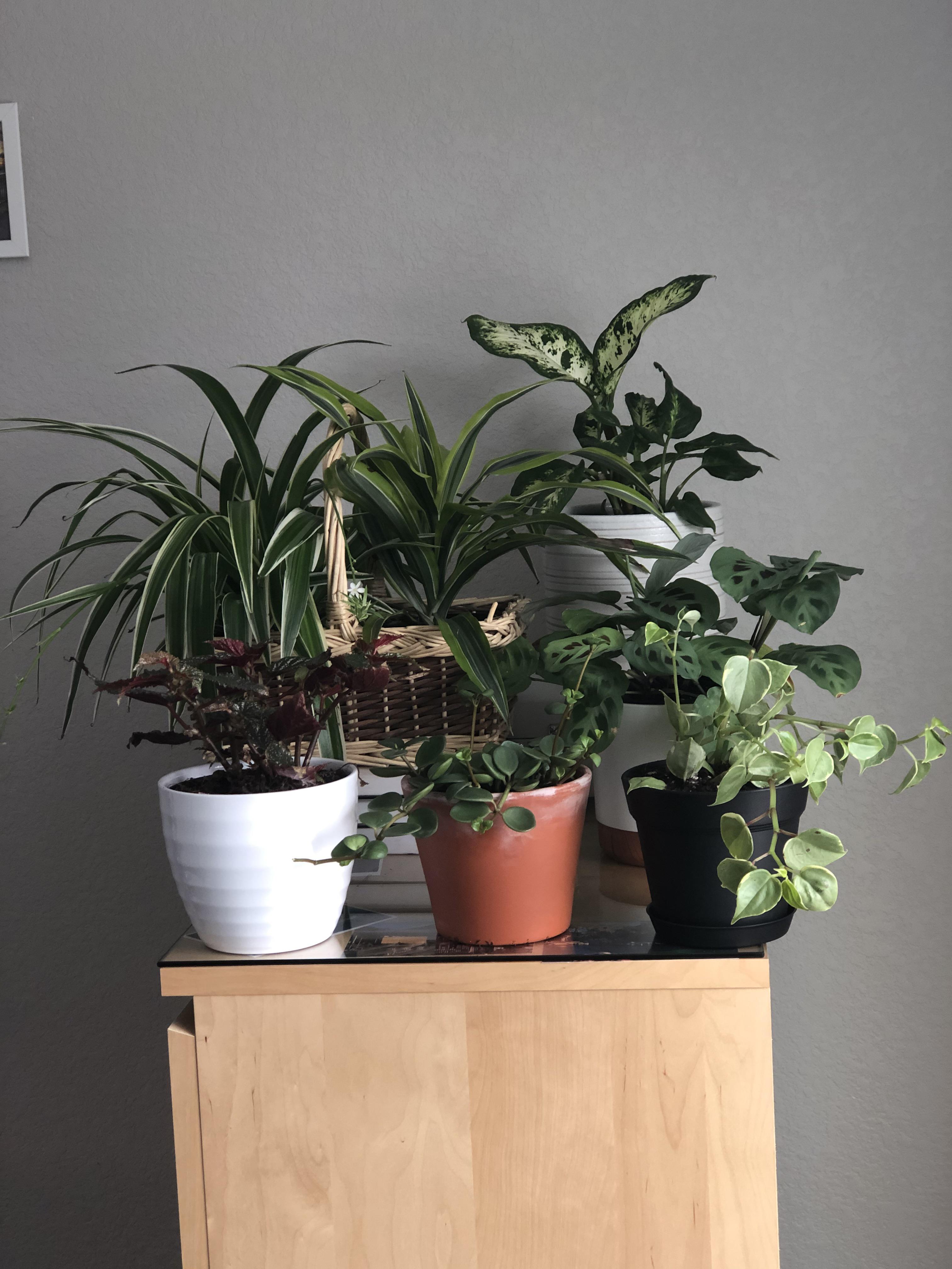 My dresser top | Scrolller