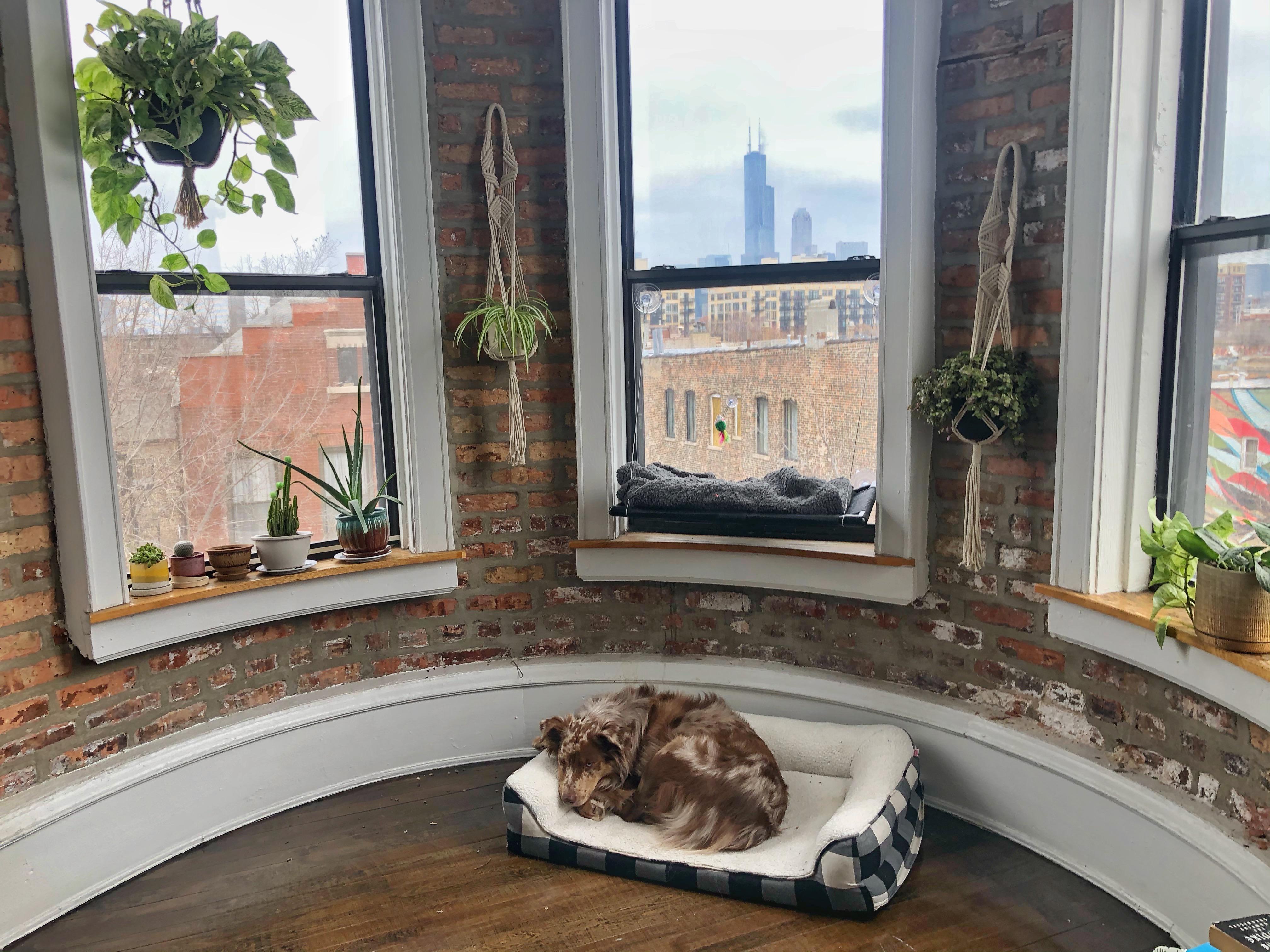 My favorite corner in the apartment. | Scrolller