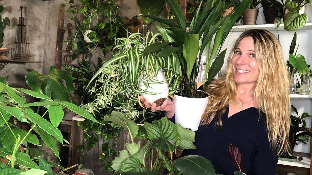 My favorite plant lady! #TeamPlanterina | Scrolller