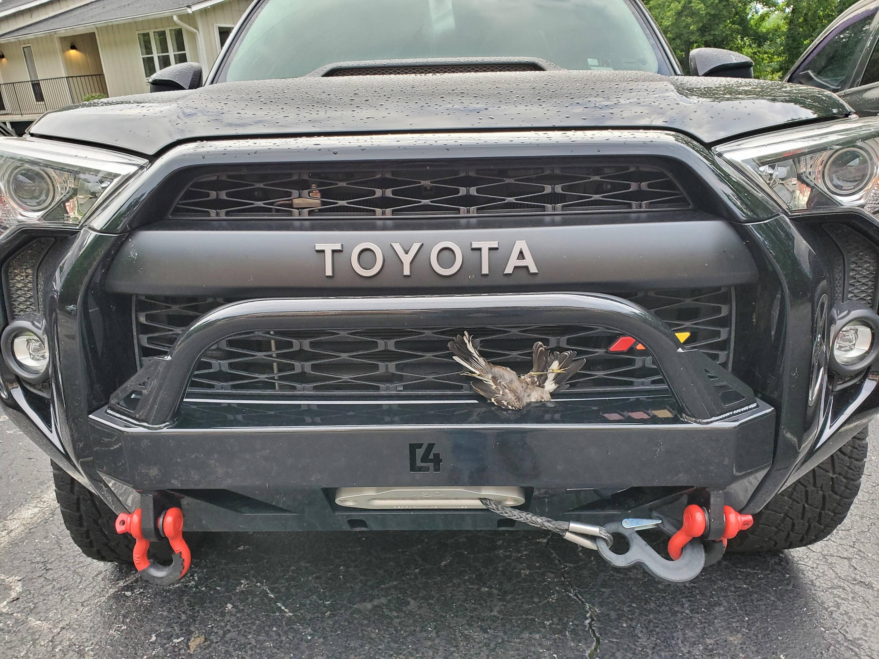 My FEF submission with flair | Scrolller