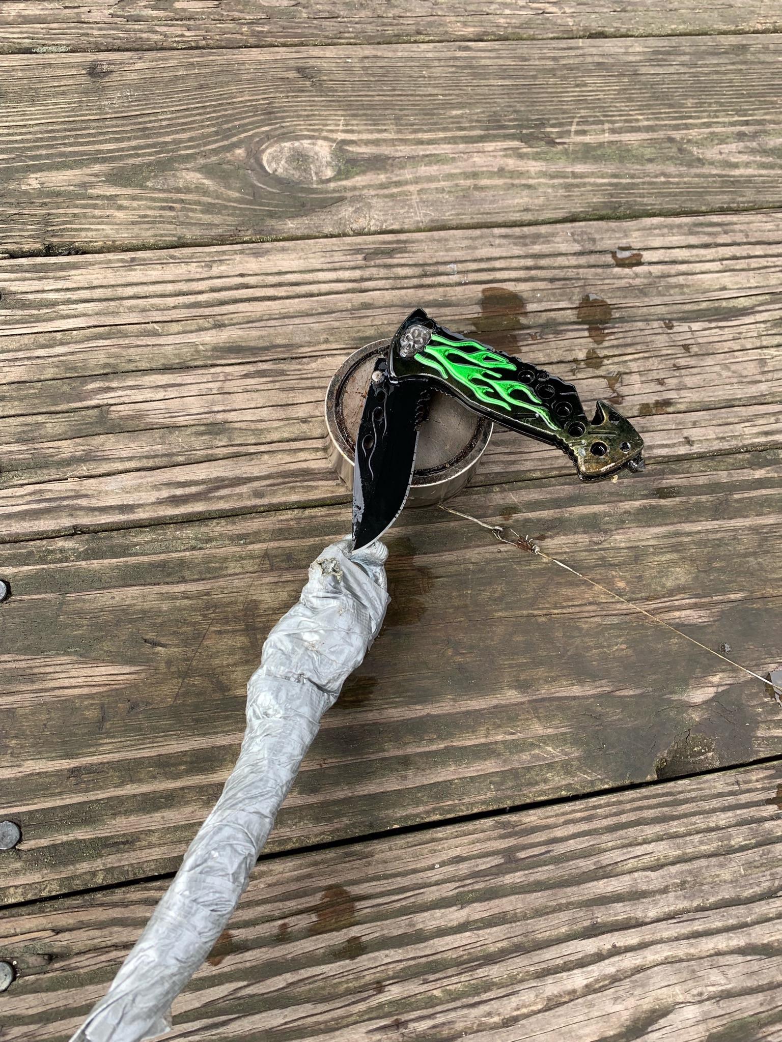 My first cool find. | Scrolller