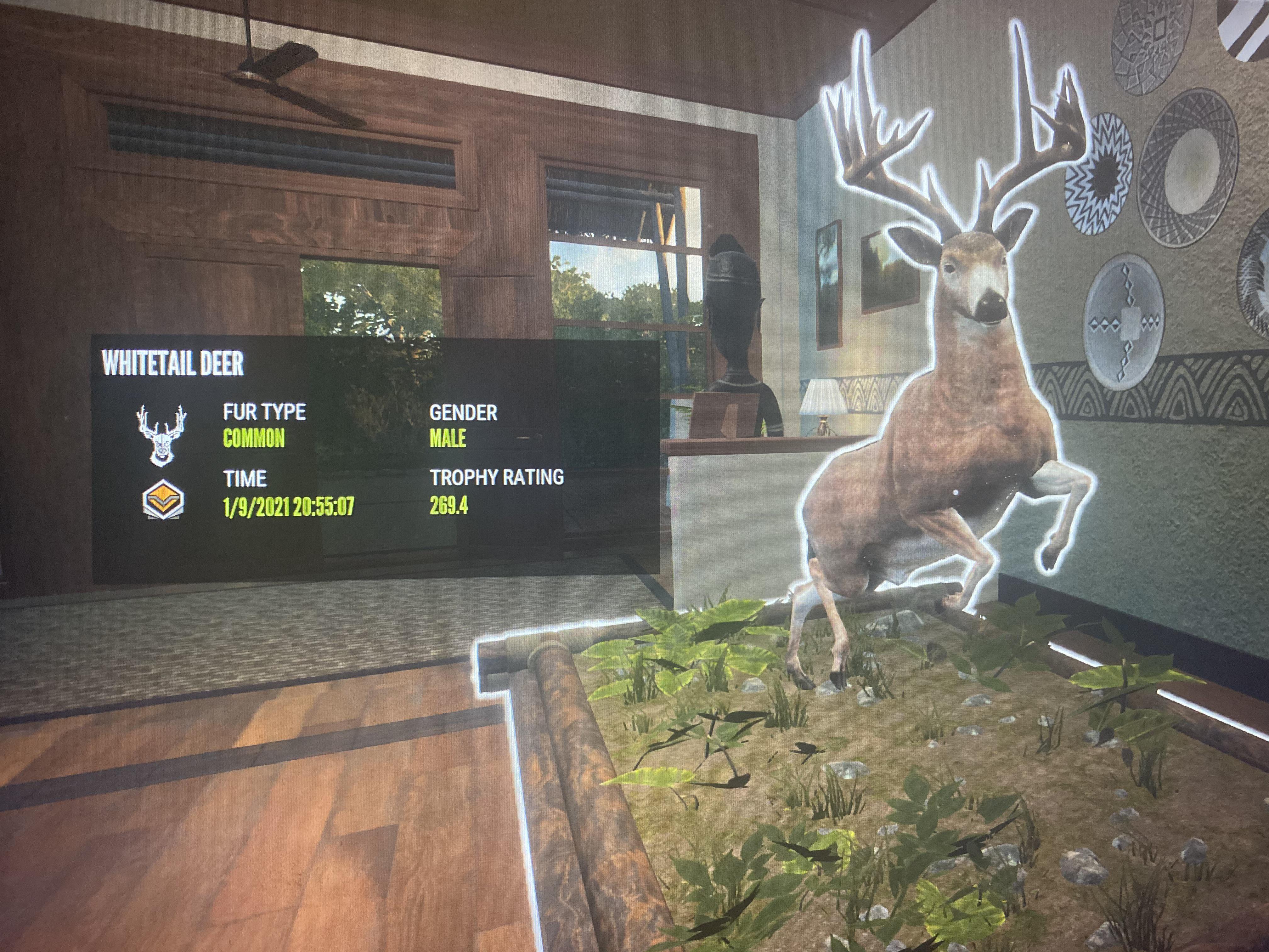 My First Diamond | Scrolller