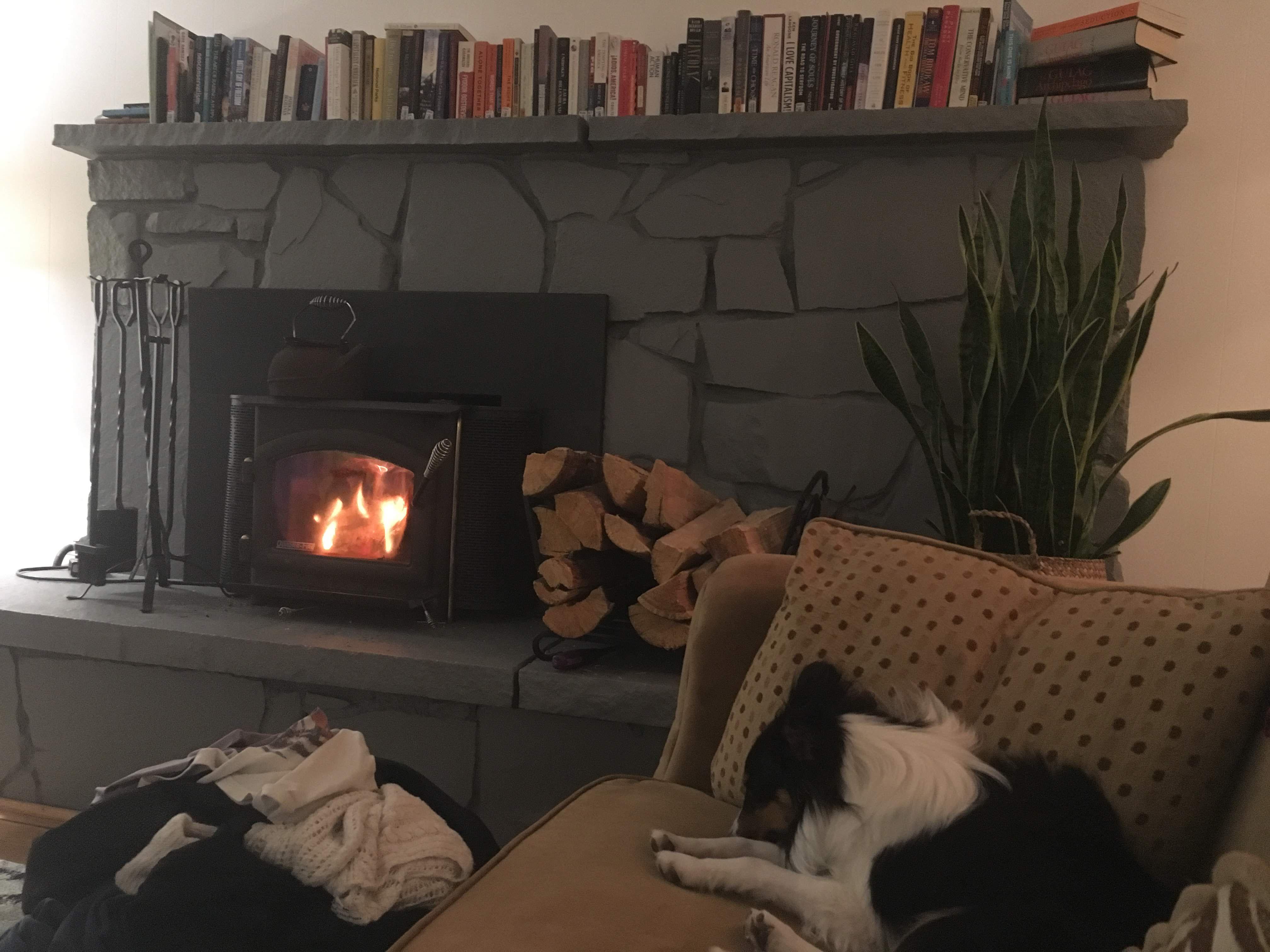 My first ever wood burning stove (insert) | Scrolller