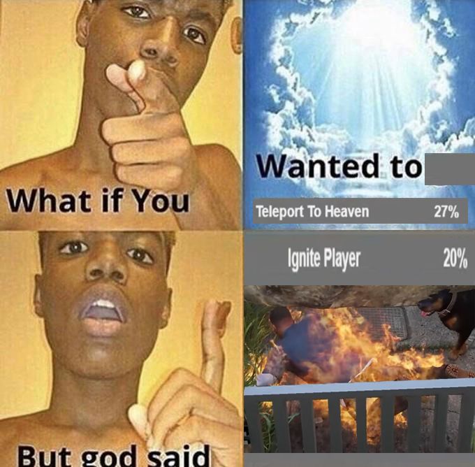 My first meme here :-) | Scrolller