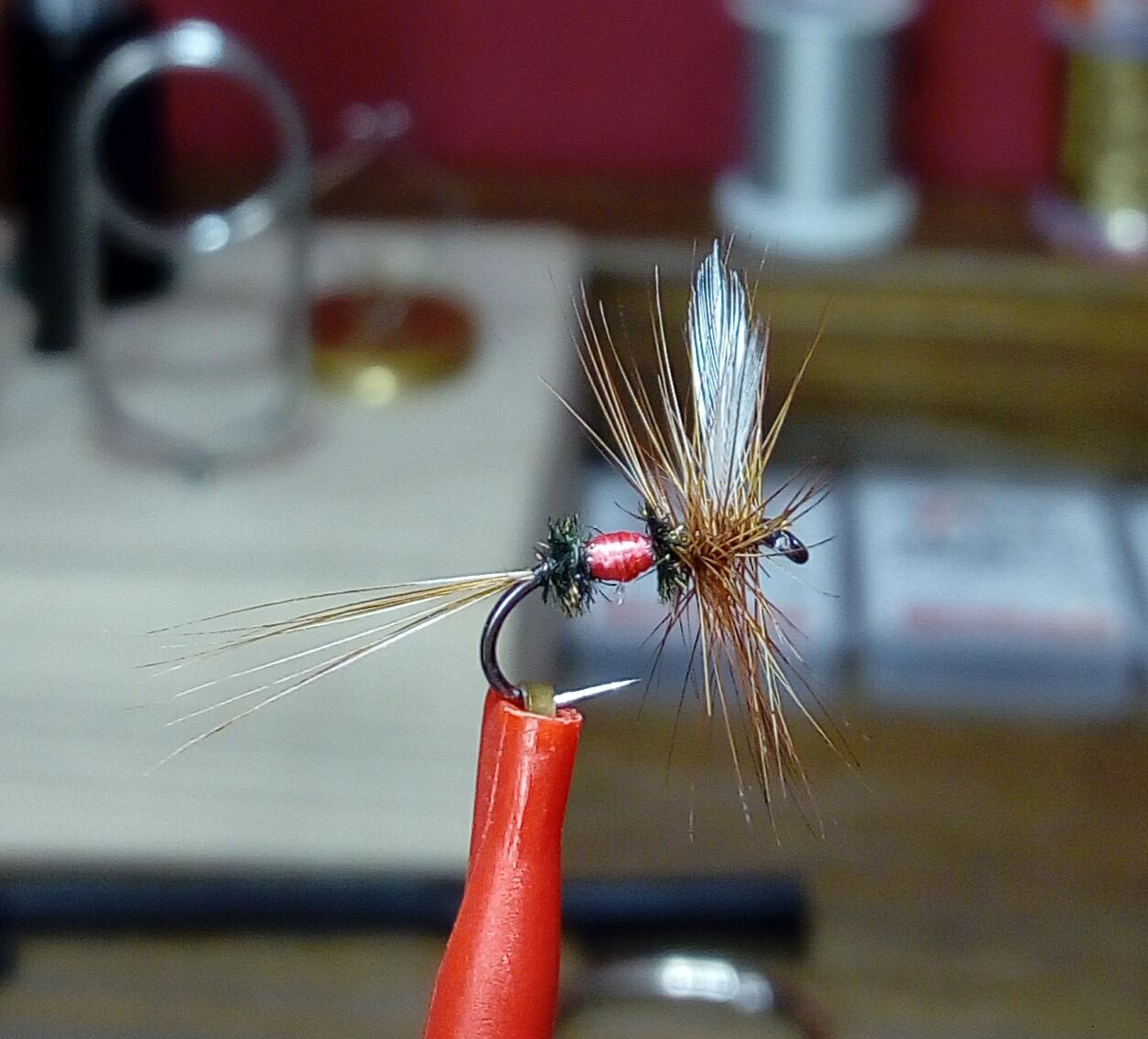 My first Royal Coachman | Scrolller