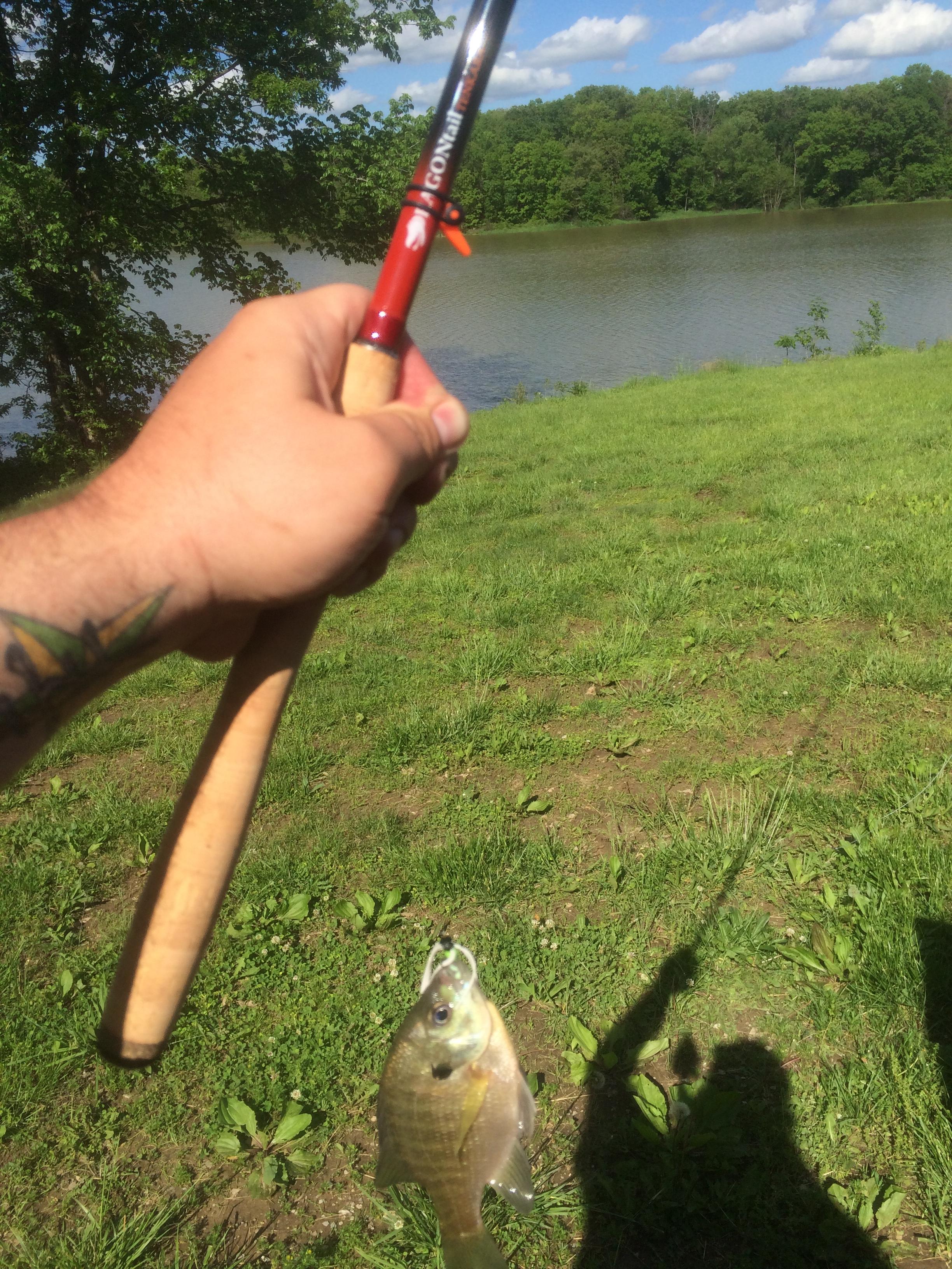 My first tenkara catch! | Scrolller