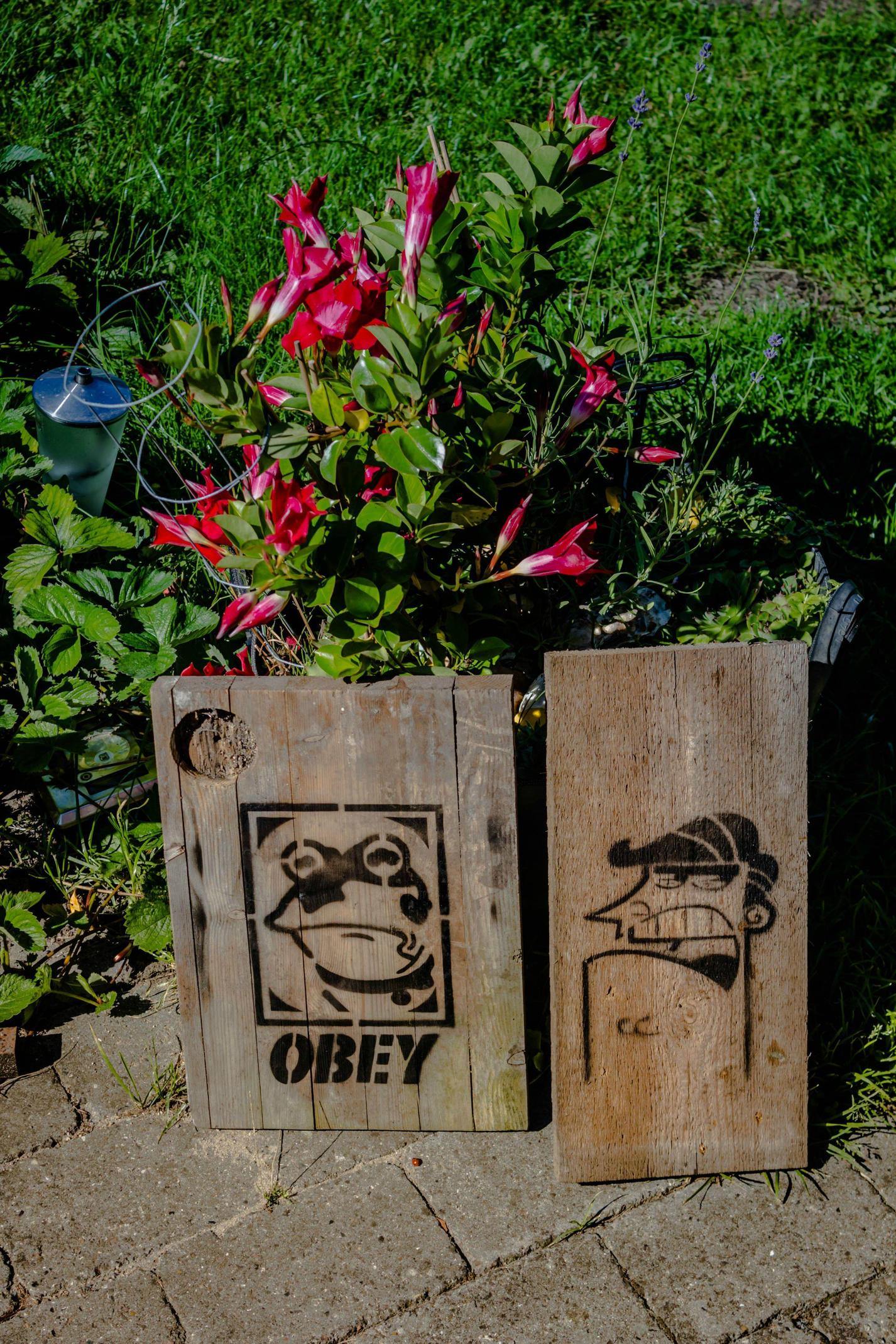 My first tries at making stencils. | Scrolller