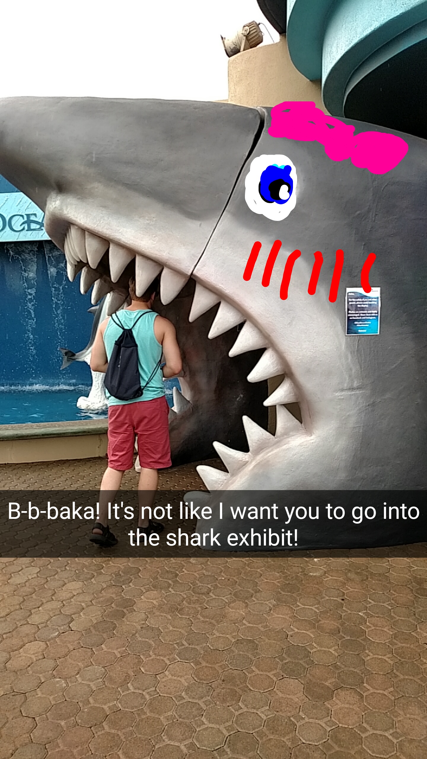 My first tsundere shark | Scrolller