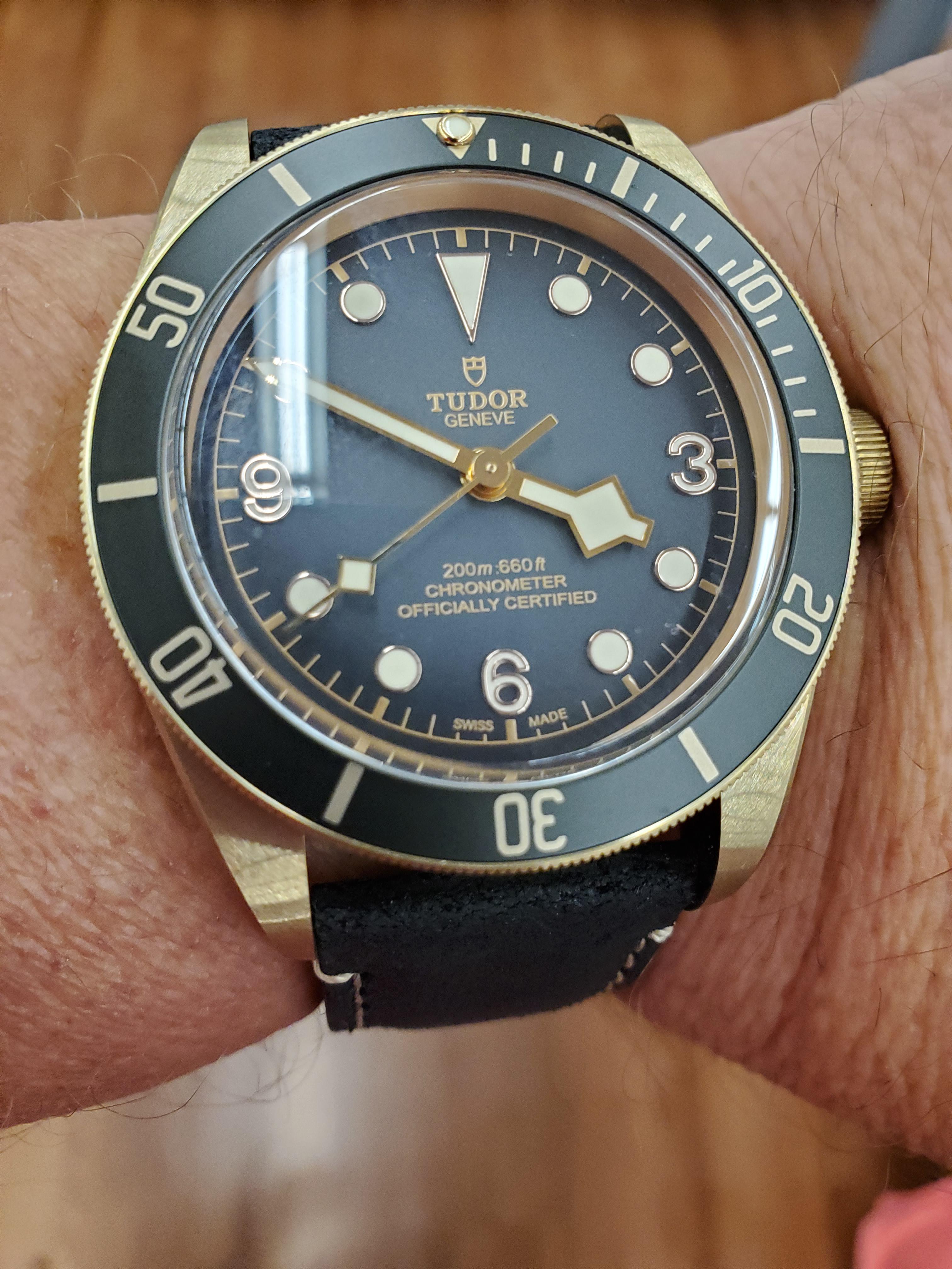 My First Tudor | Scrolller