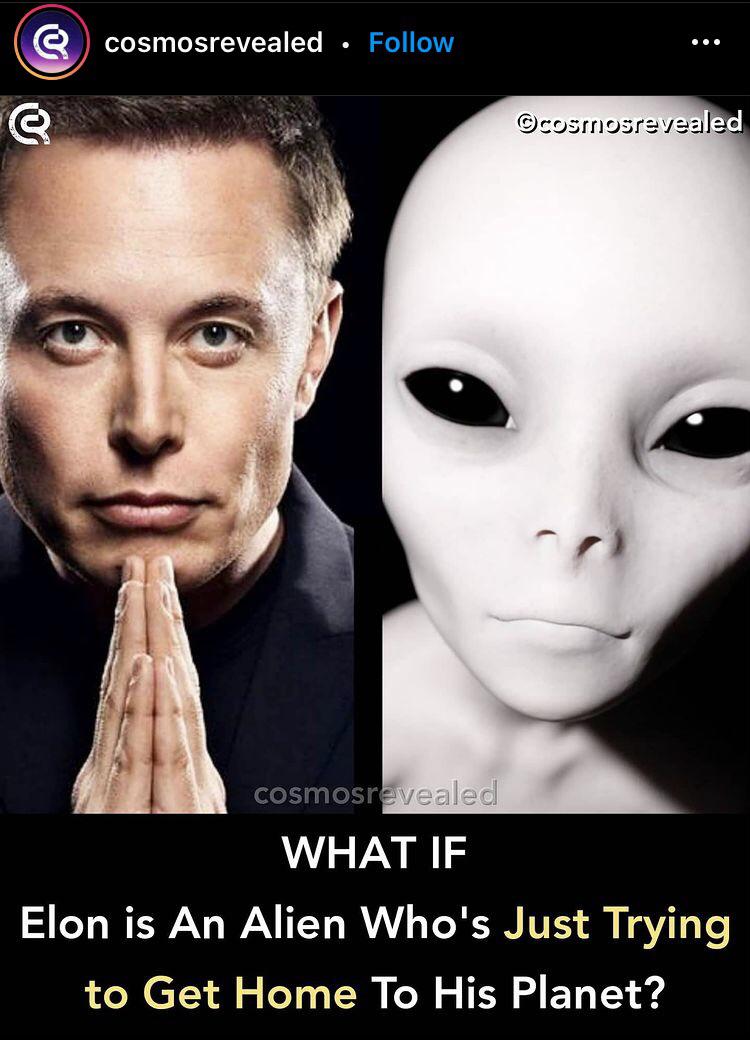 My god I hate Instagram | Scrolller