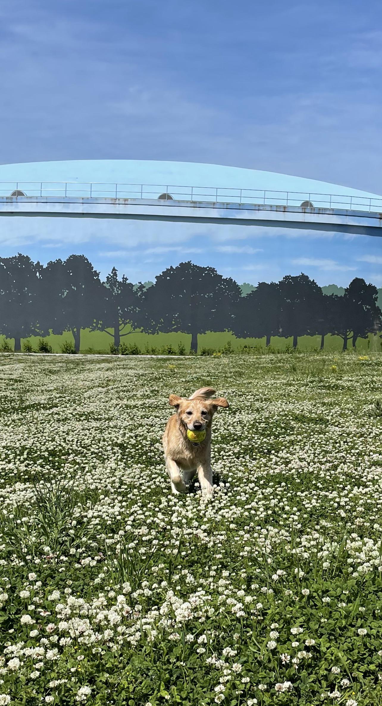 My Golden Boy… | Scrolller