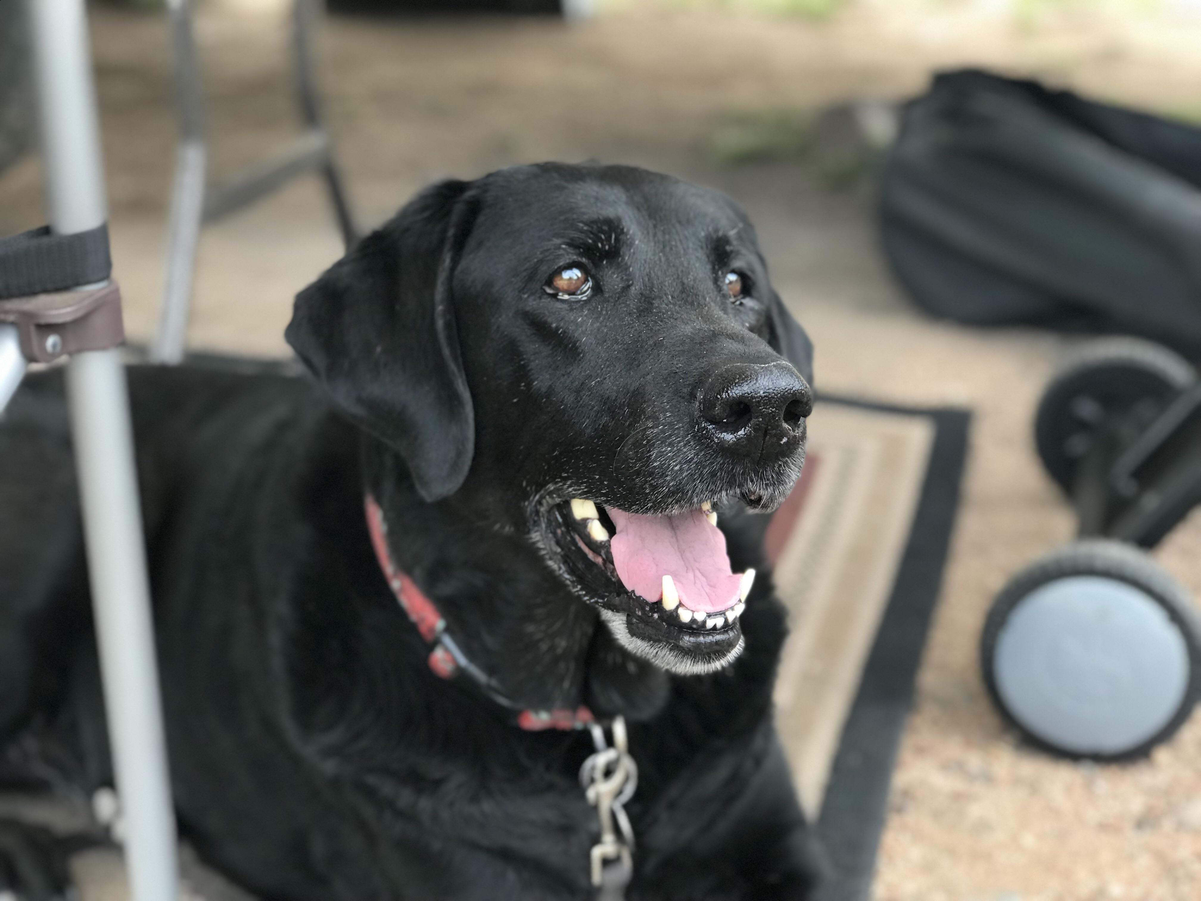 My Good girl at the lakeside | Scrolller