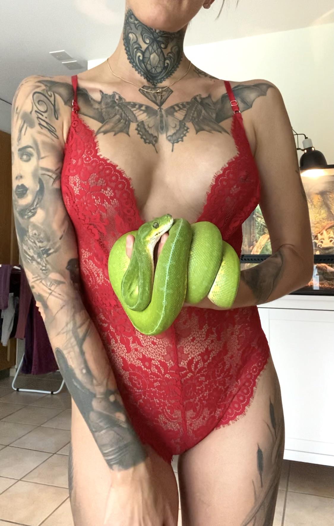 My Green Tree Python Scrolller 5827