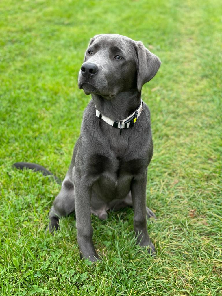 My handsome boy | Scrolller