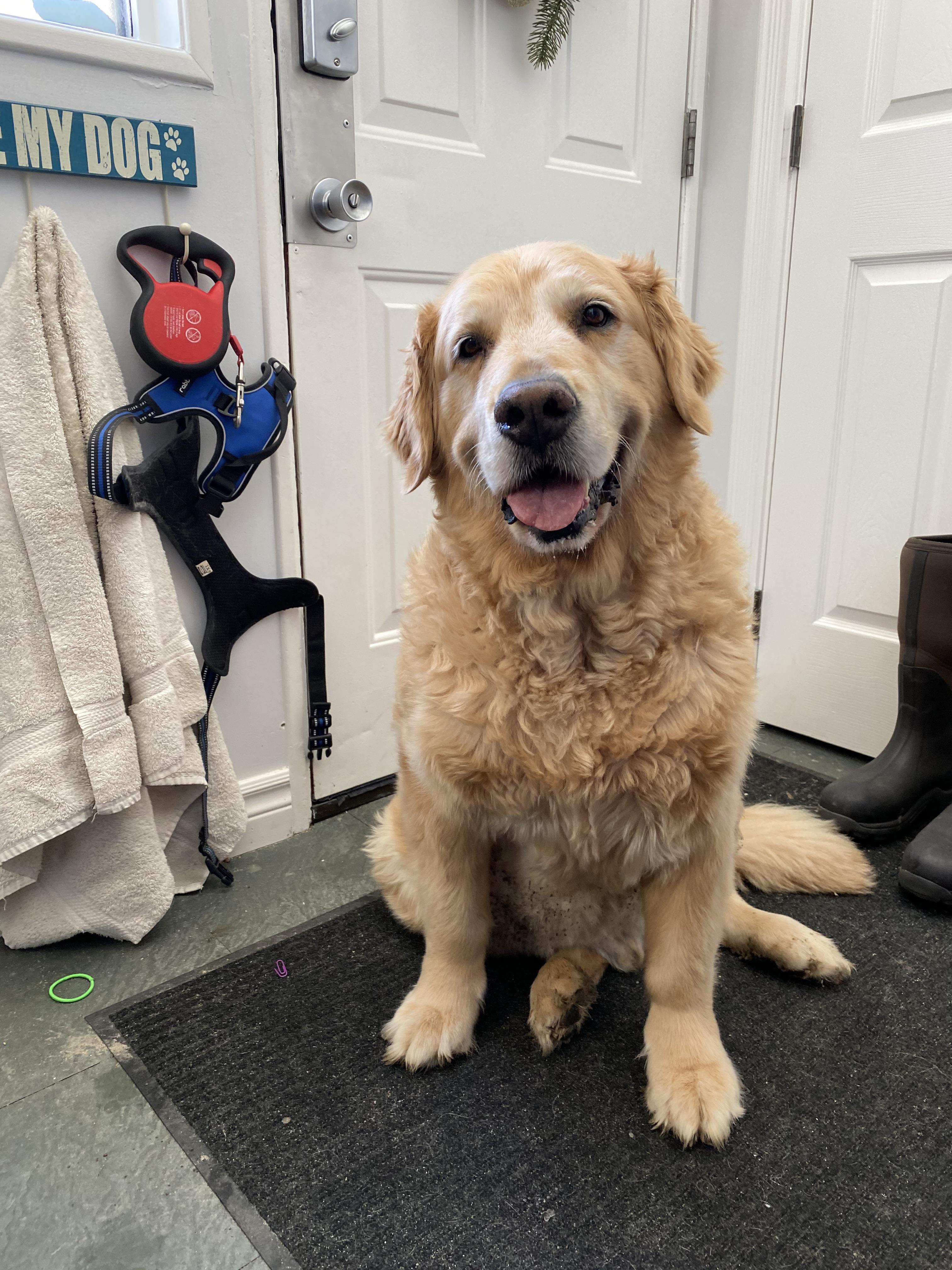 My handsome boy just turned 10 | Scrolller