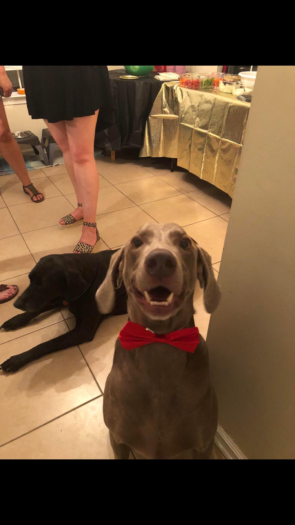 My handsome guy all dressed up | Scrolller