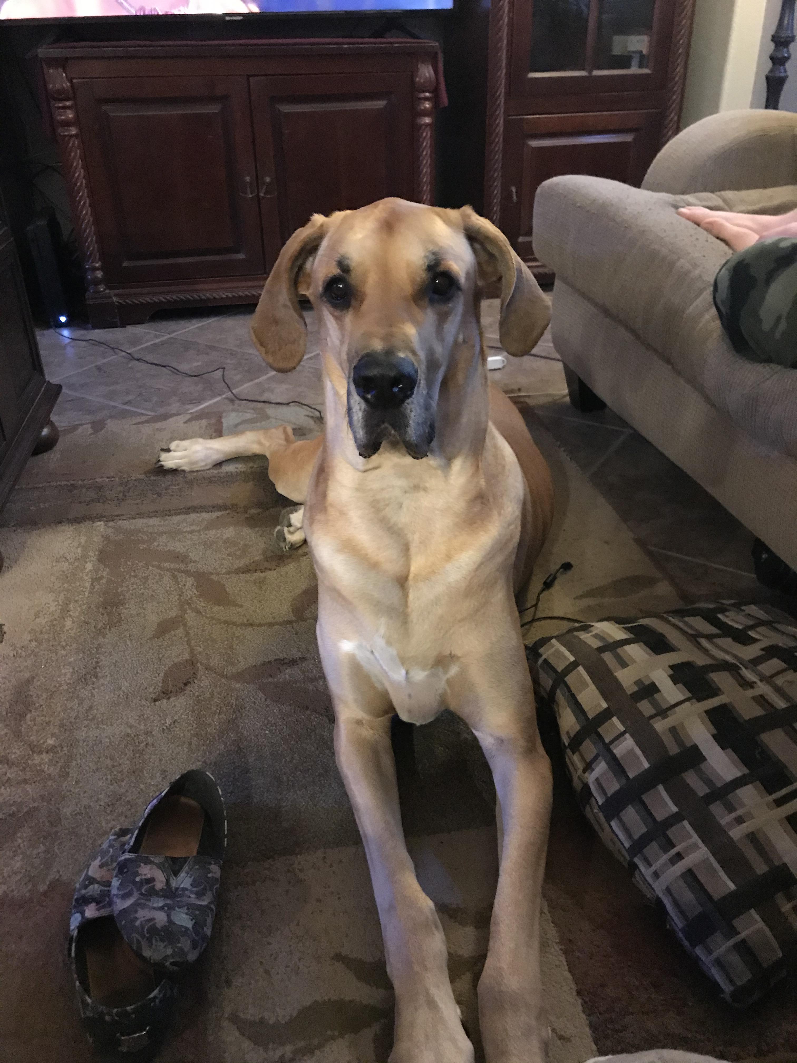 My handsome guy ️ | Scrolller