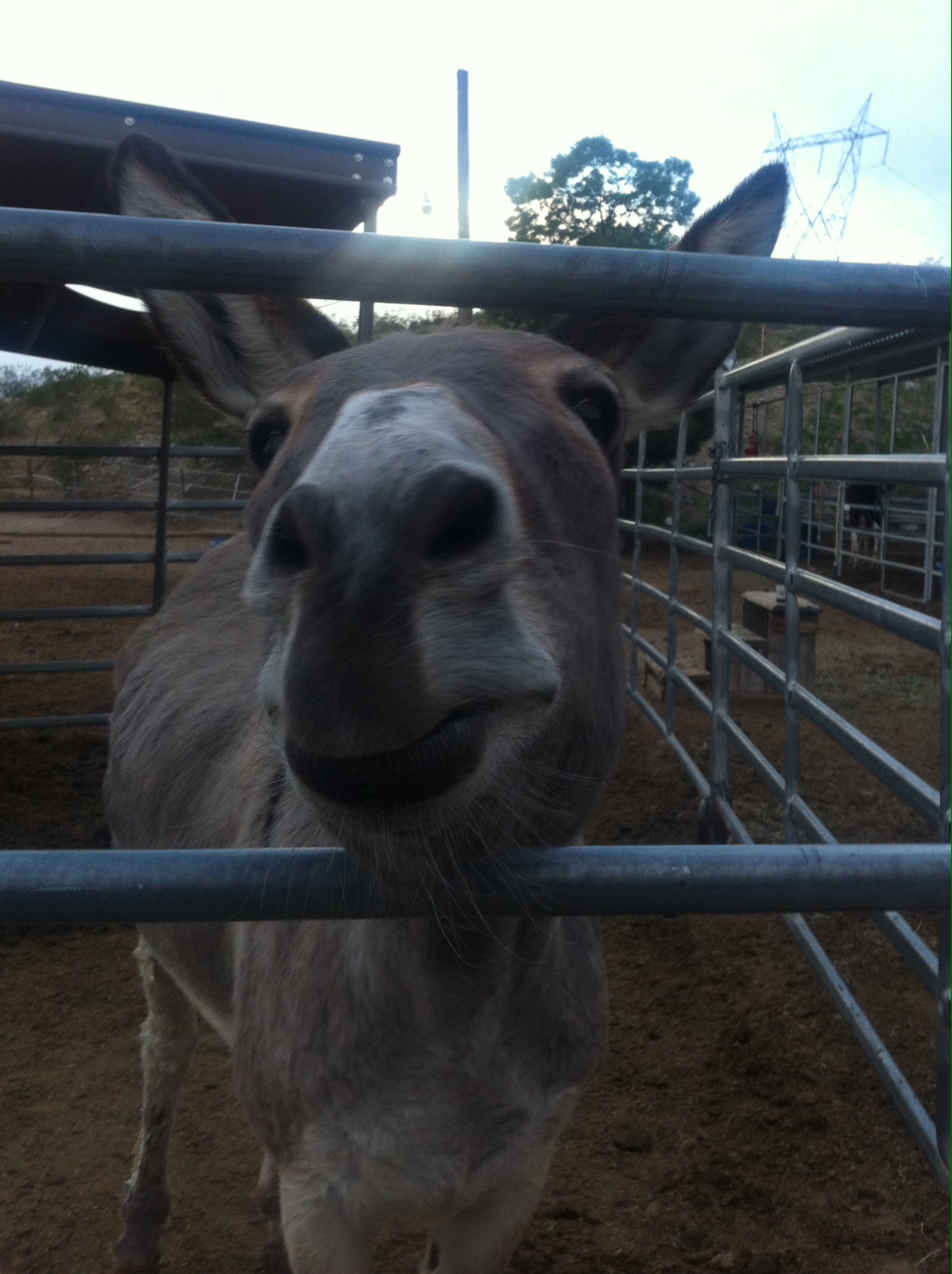 My handsome man | Scrolller