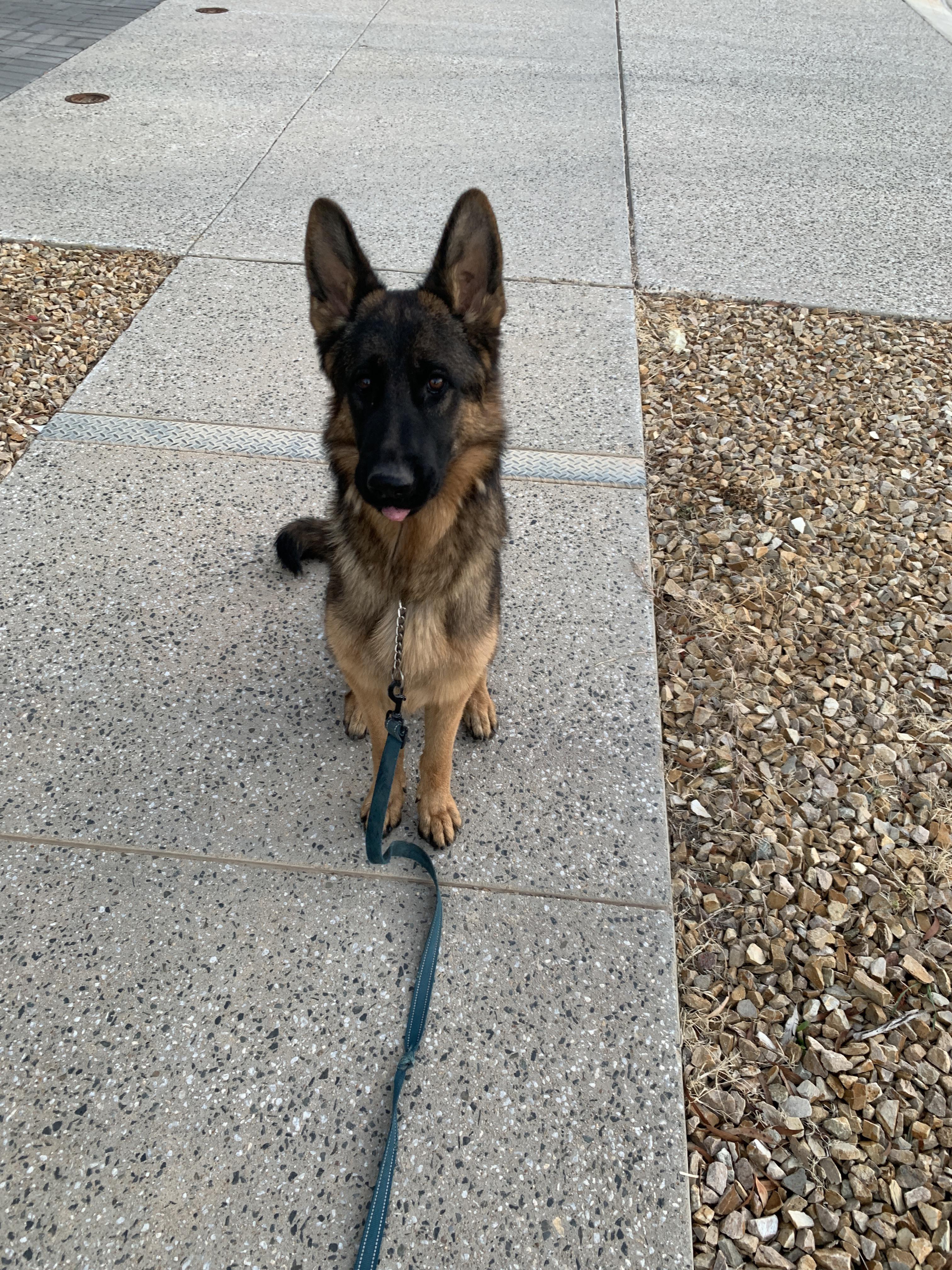 My handsome man just turned 1 | Scrolller