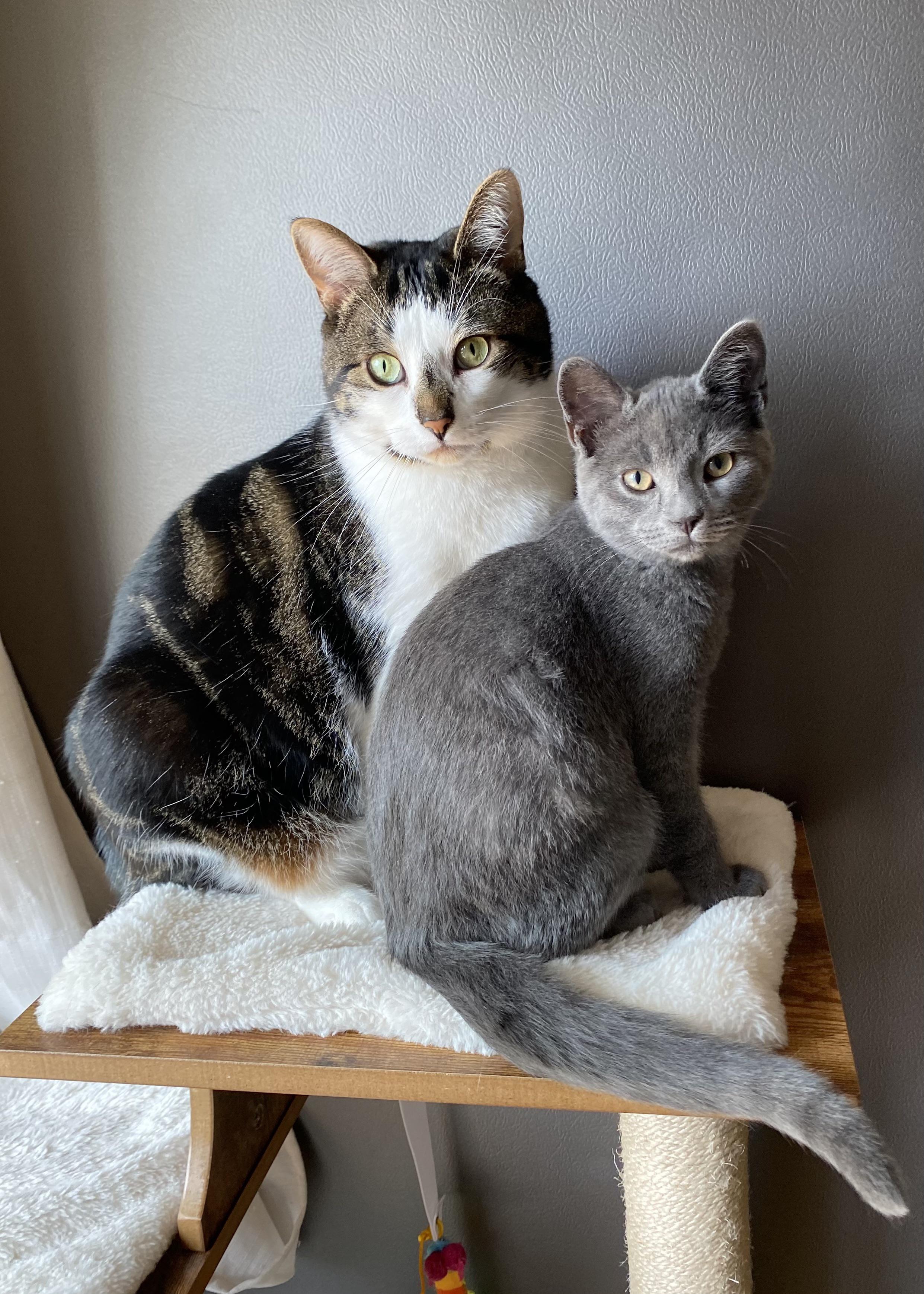 My handsome men | Scrolller