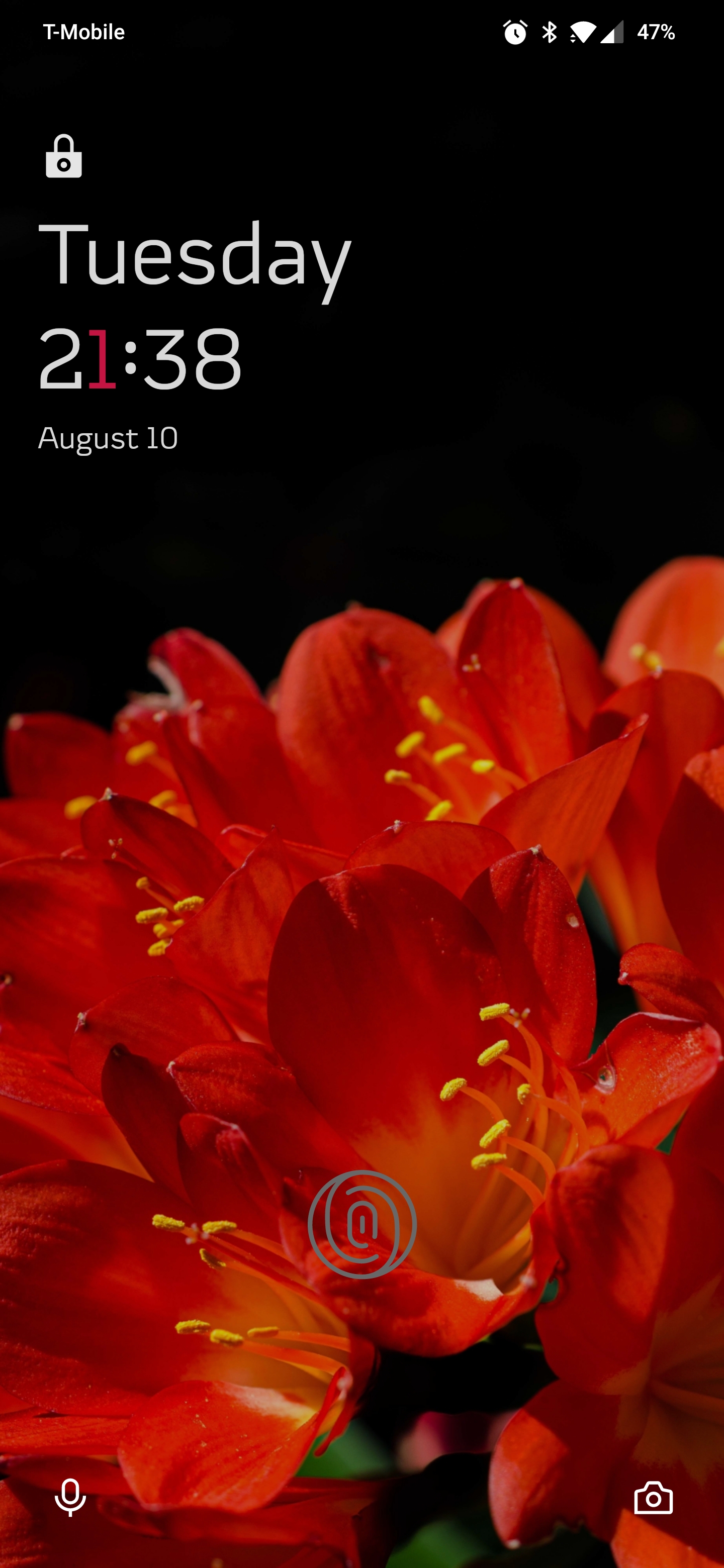 My Home screen | Scrolller