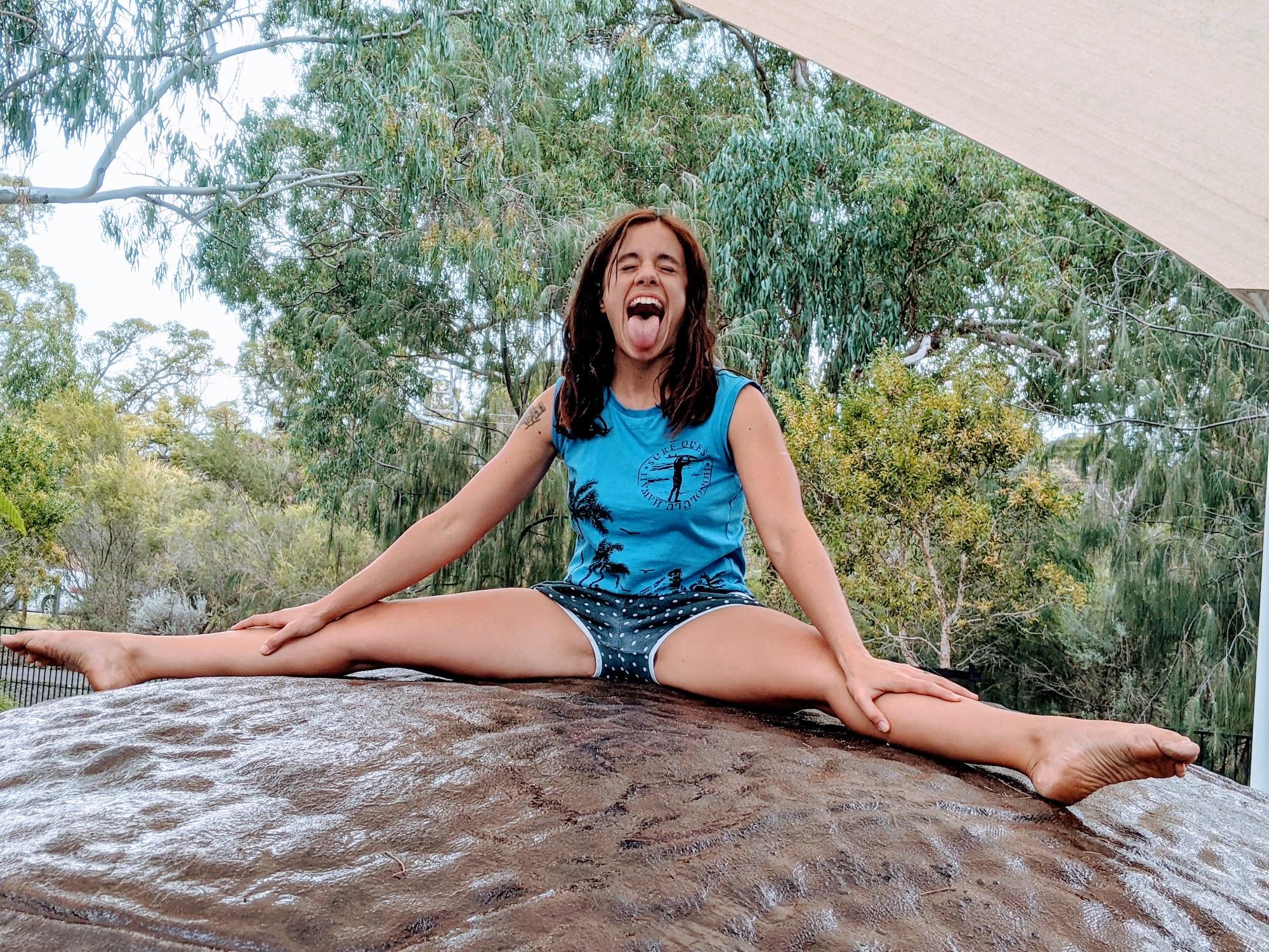 My legs are not long enough to wrap around this turtle! | Scrolller