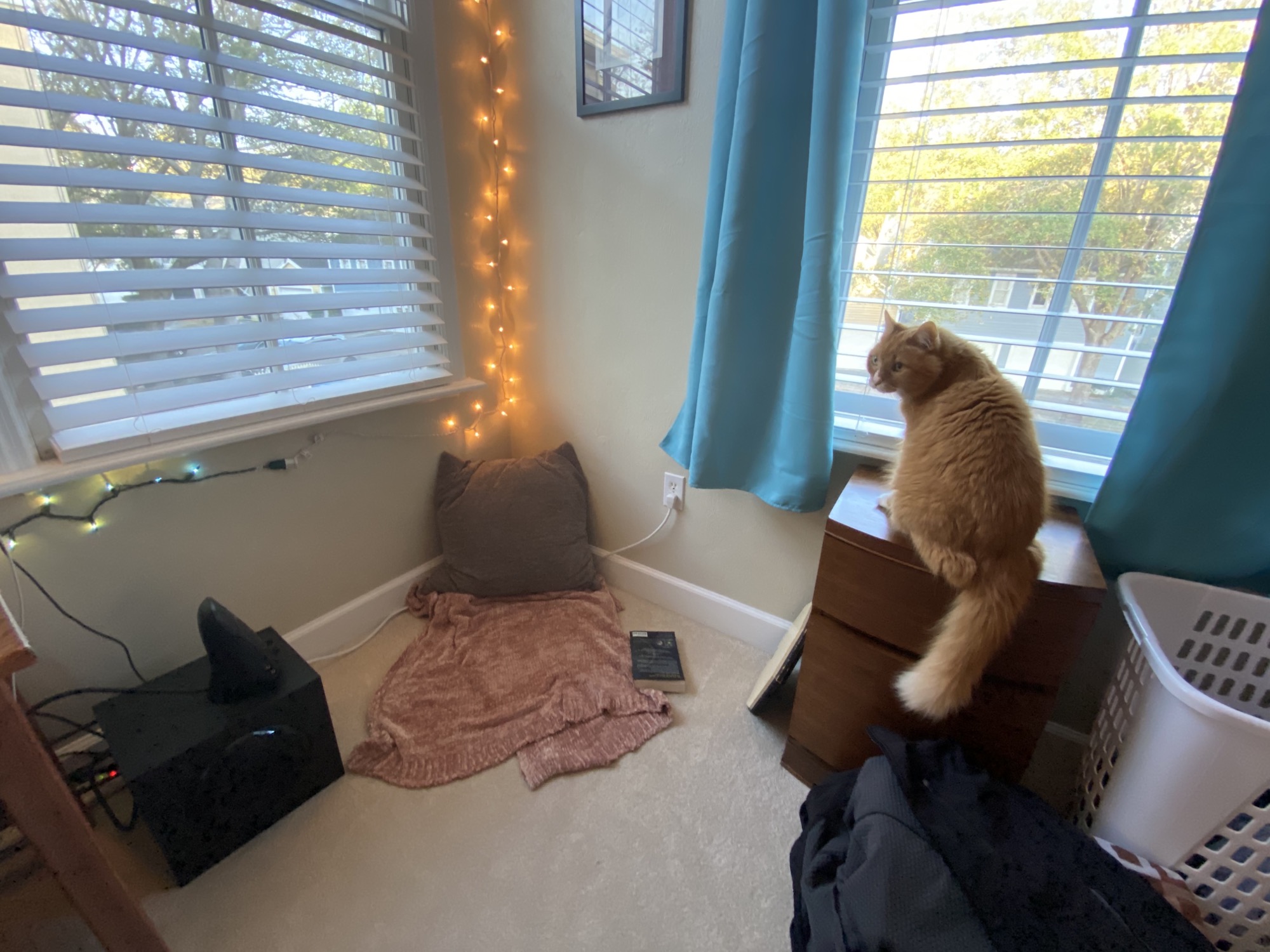 My little budget reading corner | Scrolller