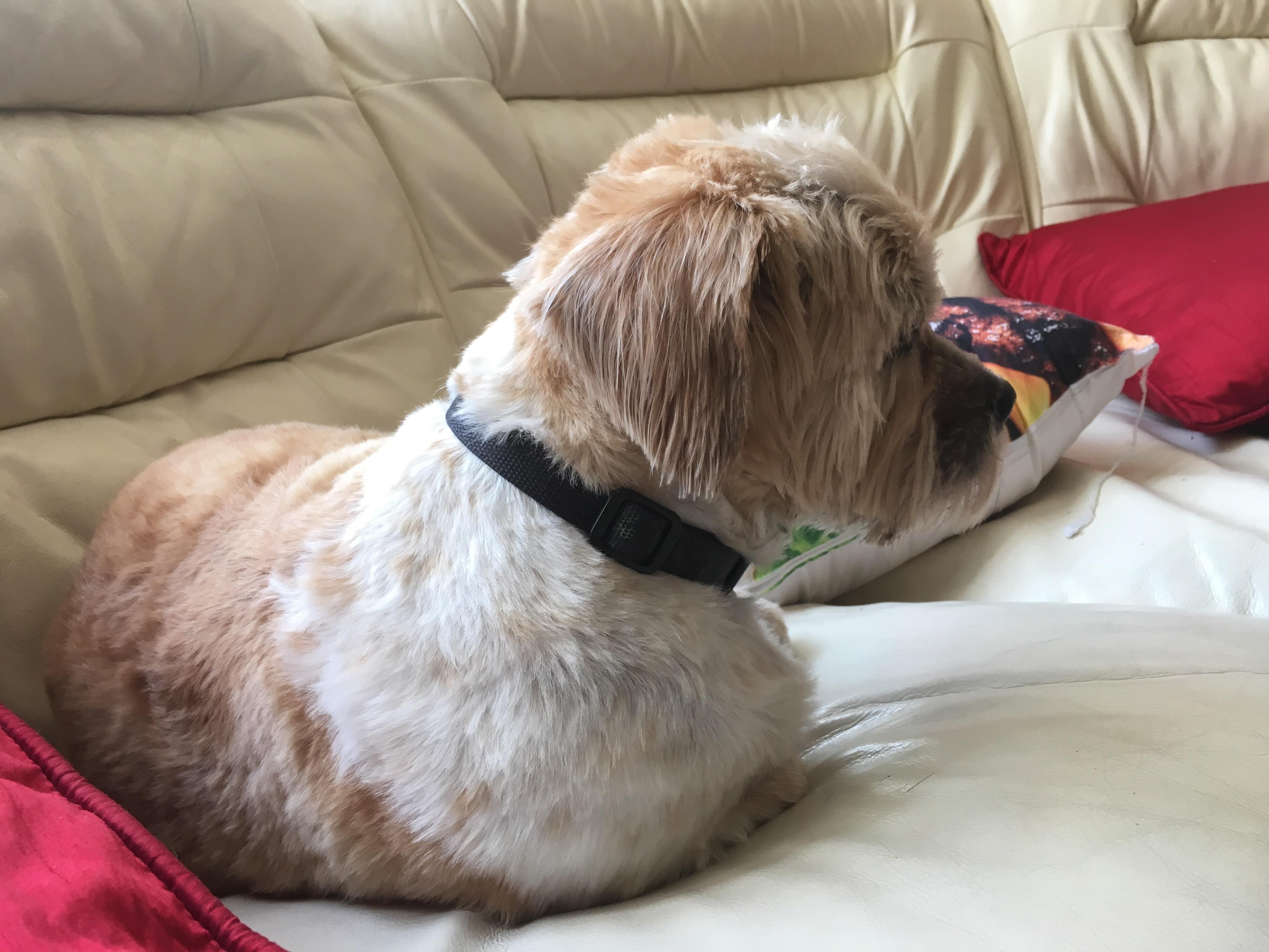 My little loaf | Scrolller