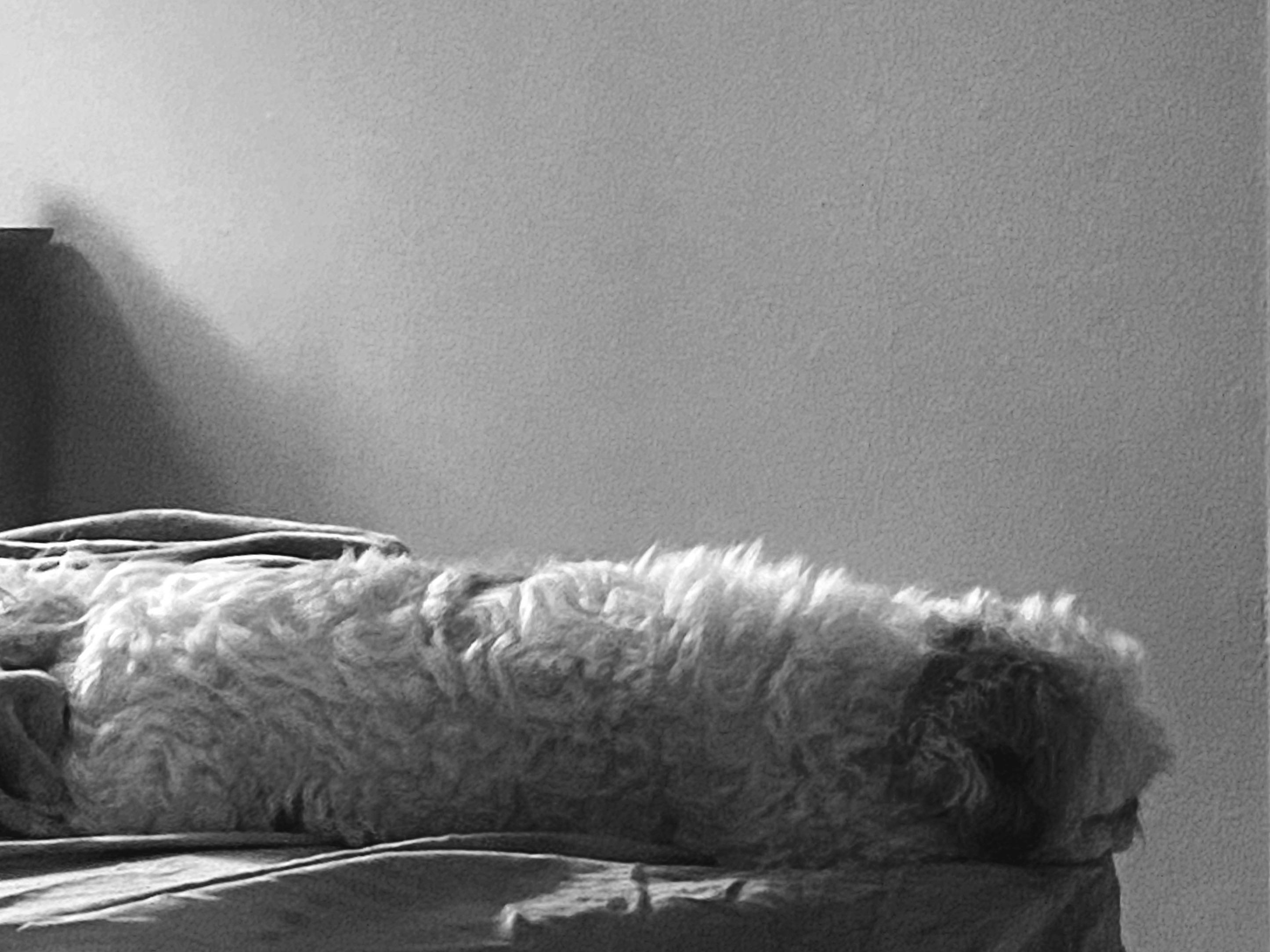 My little Luna loaf | Scrolller