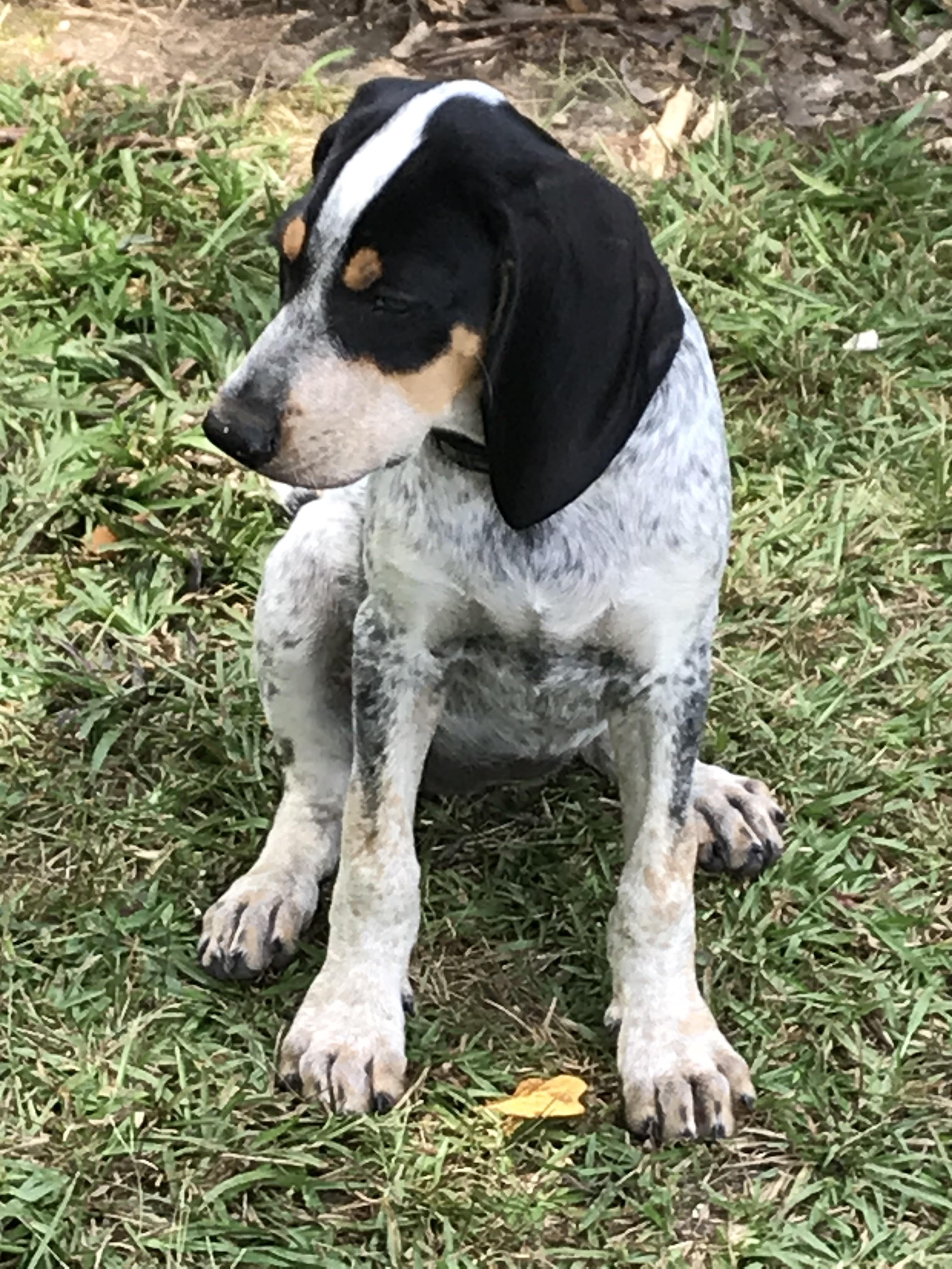 My Little Maggie’s growing up fast! | Scrolller