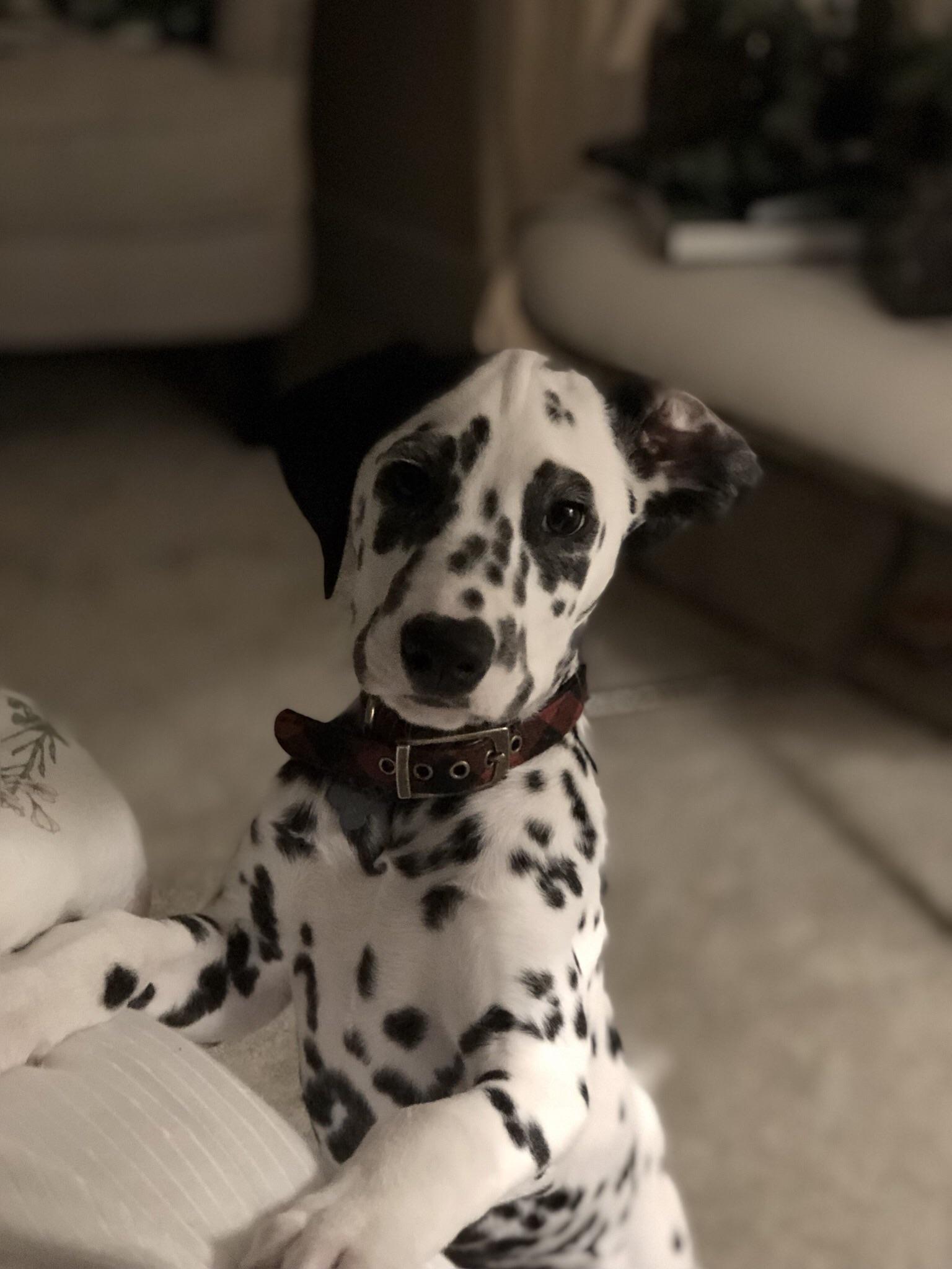 My little nugget | Scrolller