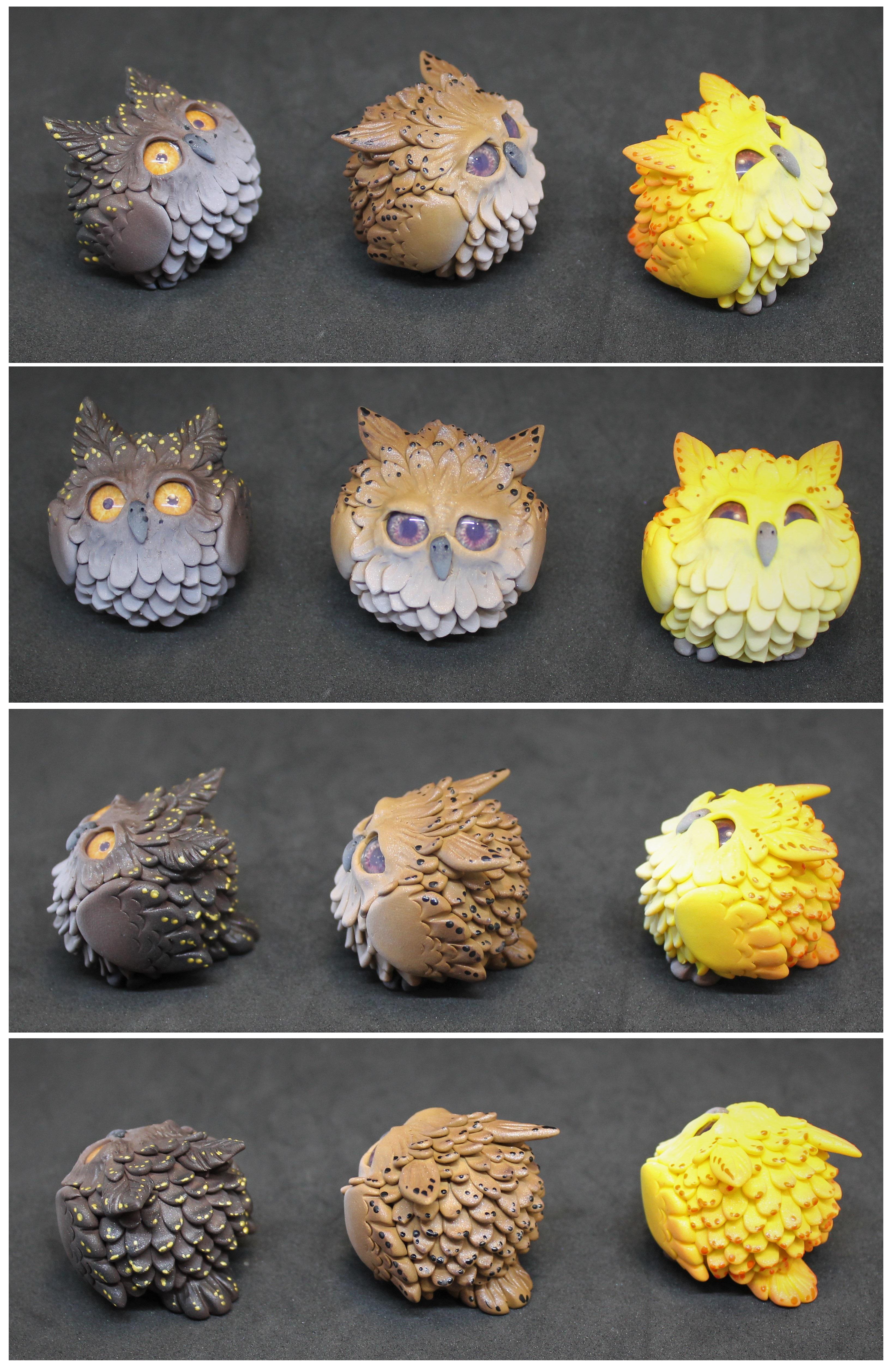 My little owls @,@ | Scrolller