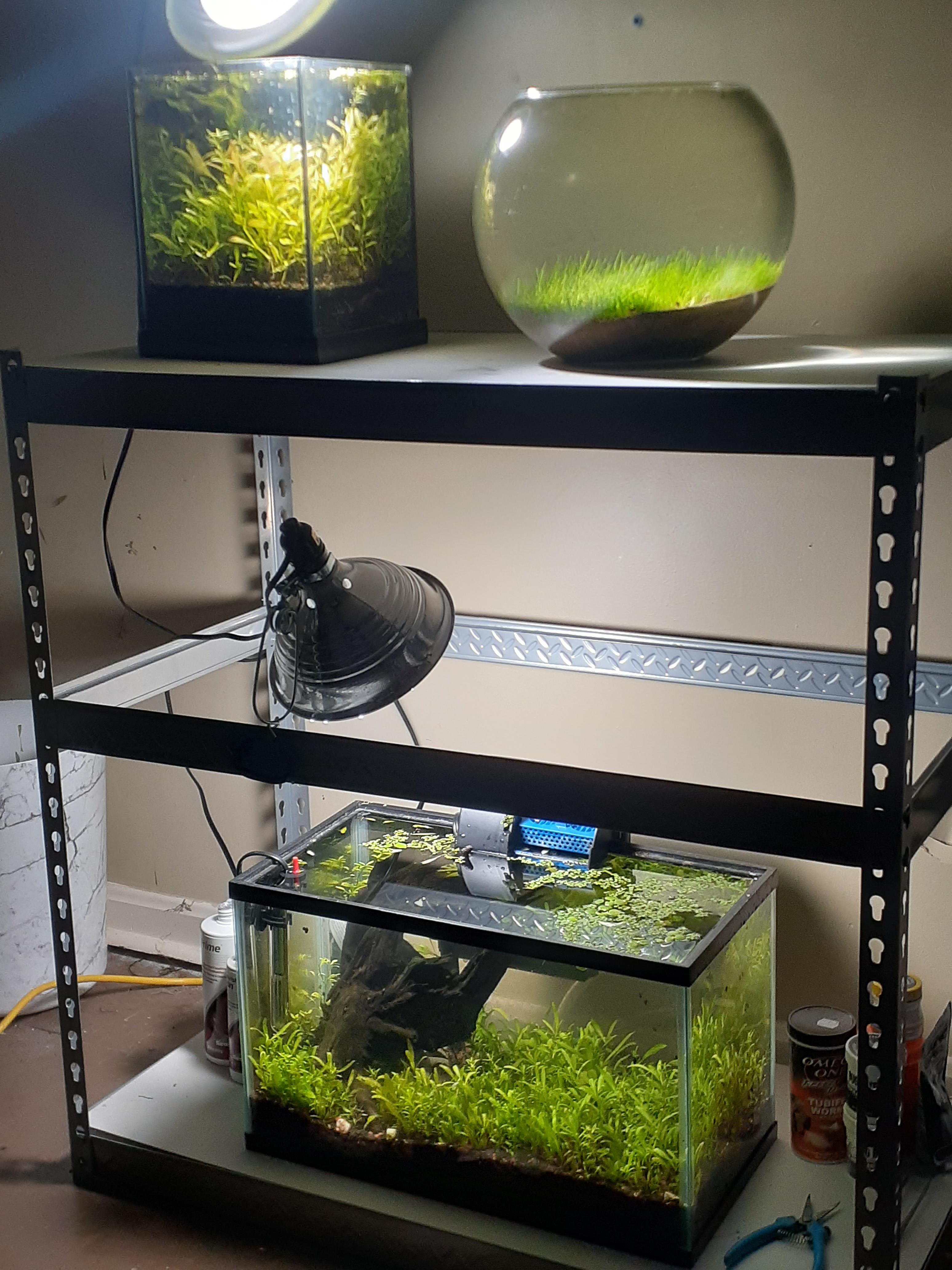 My little shelf! | Scrolller