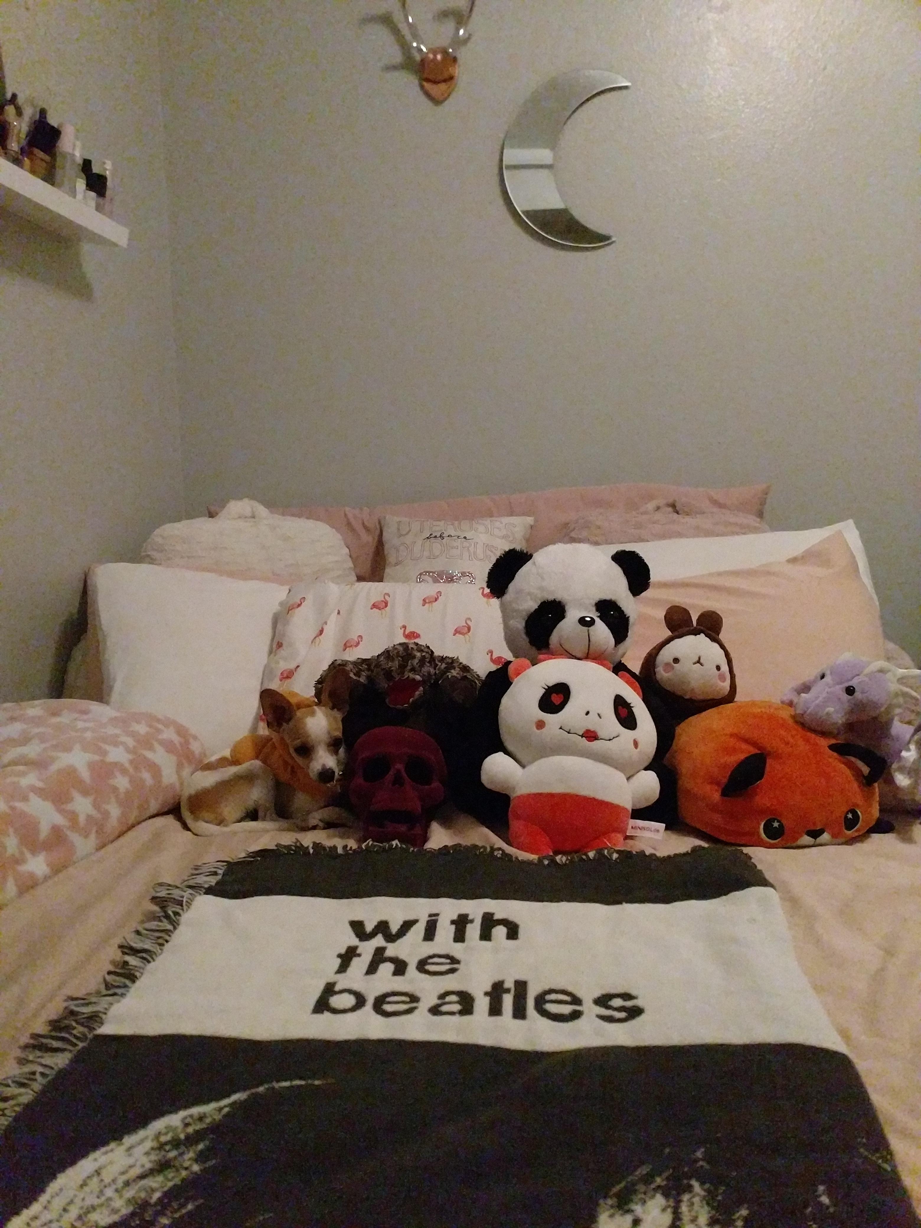 My little's safe space and our smol pupper | Scrolller