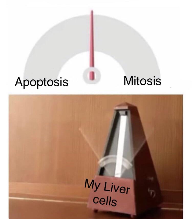 My liver cells | Scrolller