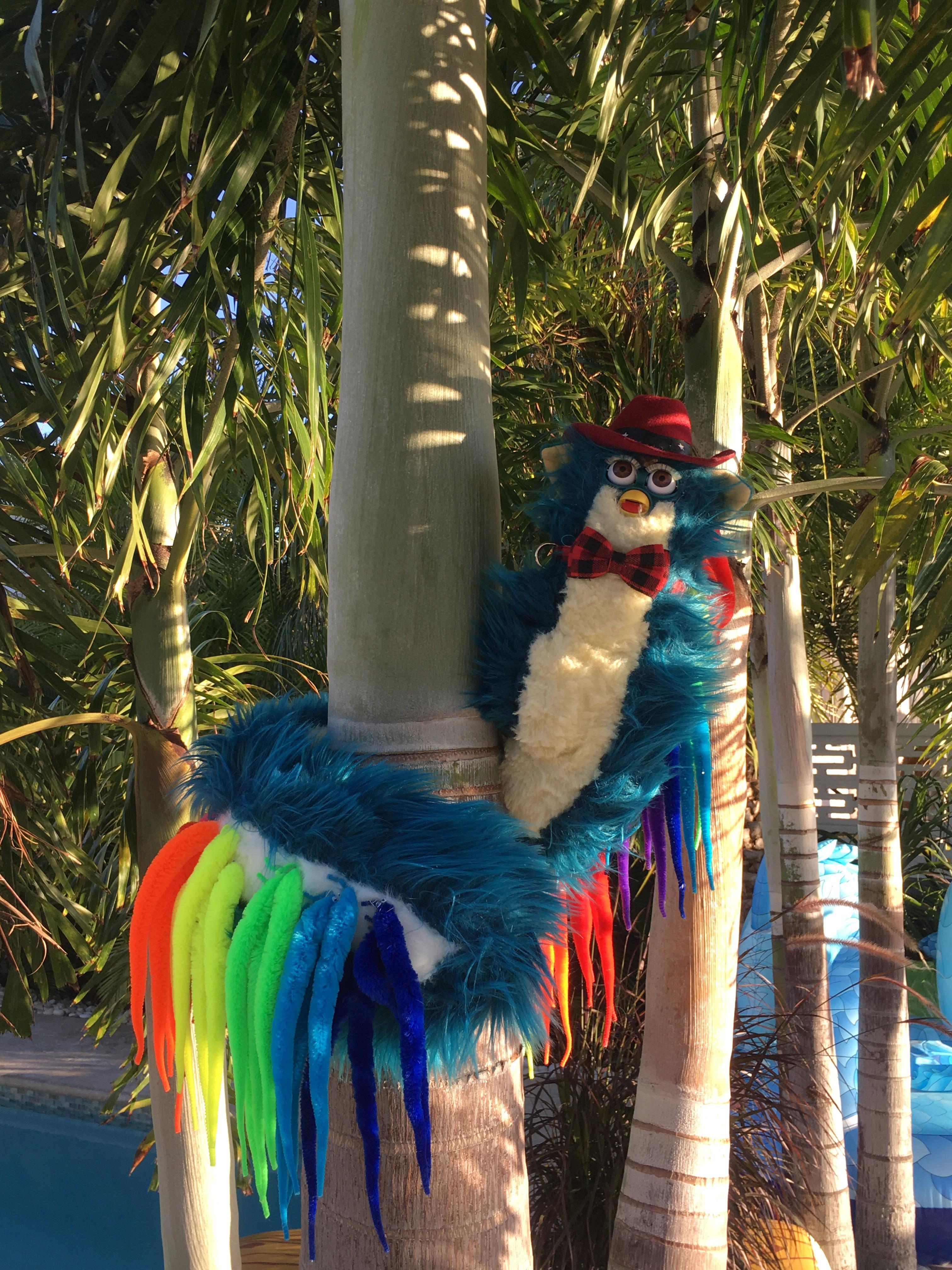 My long boi: YeeHaw Karen Gremlin | Scrolller