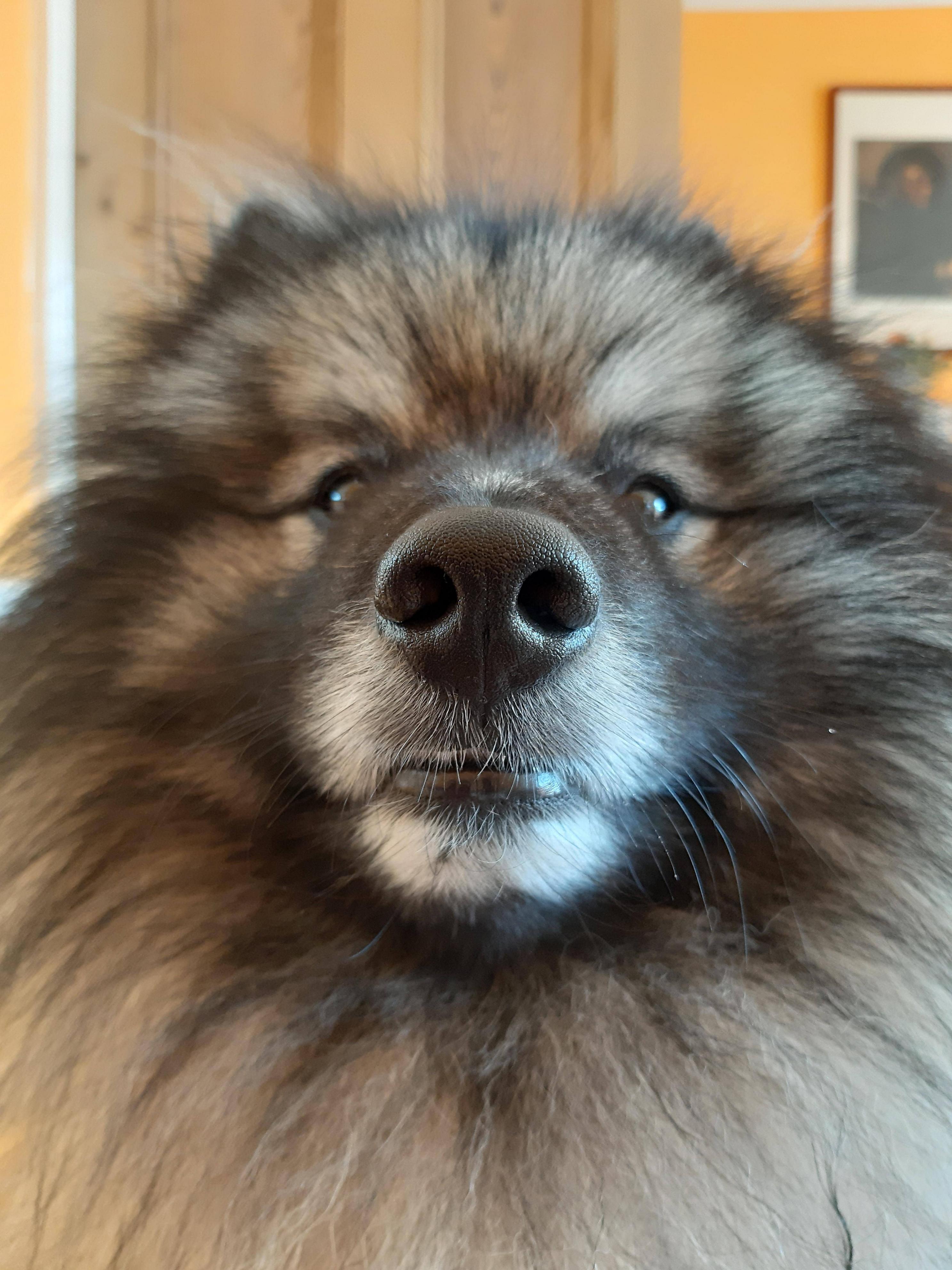 My lovely bozo, Ted | Scrolller