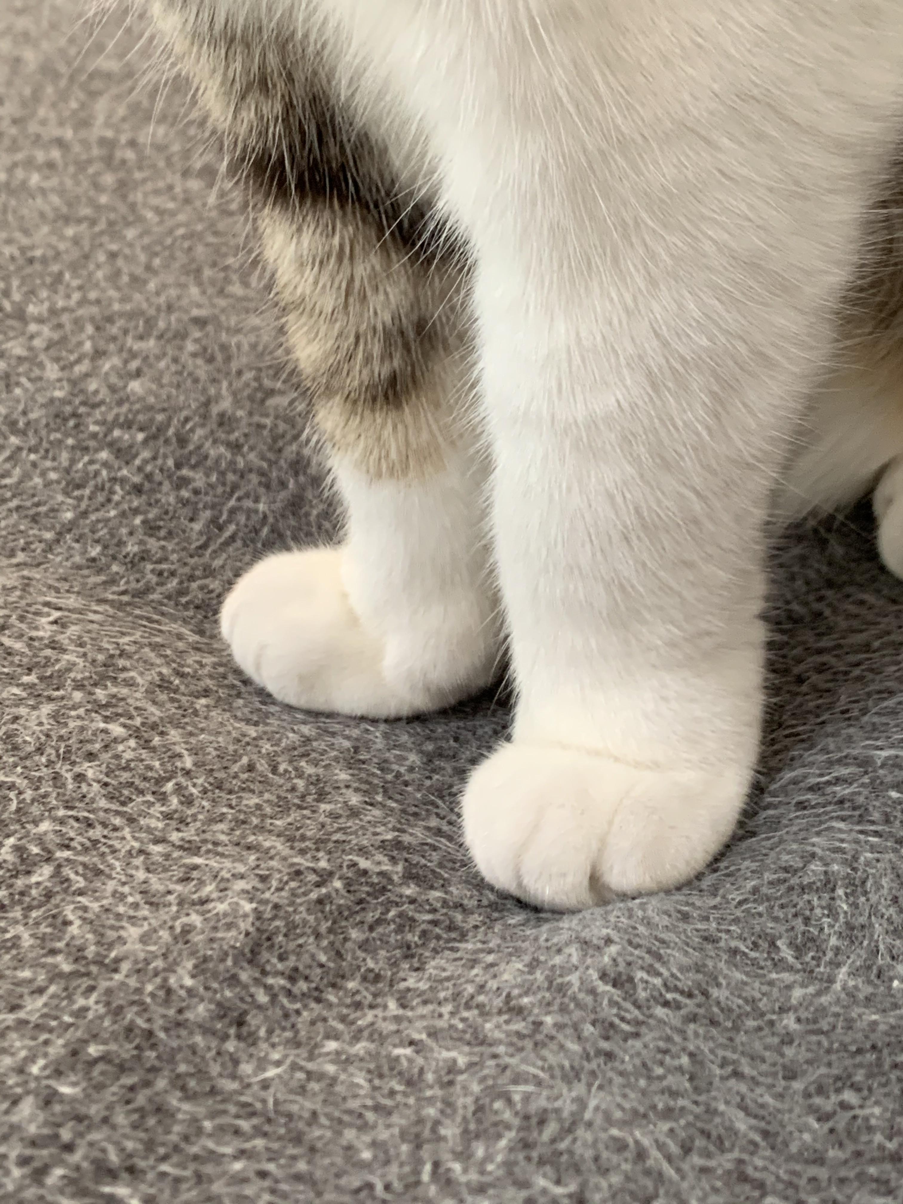 My main squeeze’s toes | Scrolller