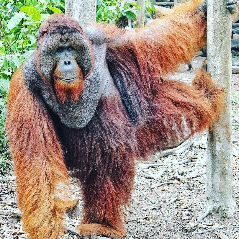 My man Tom | Scrolller