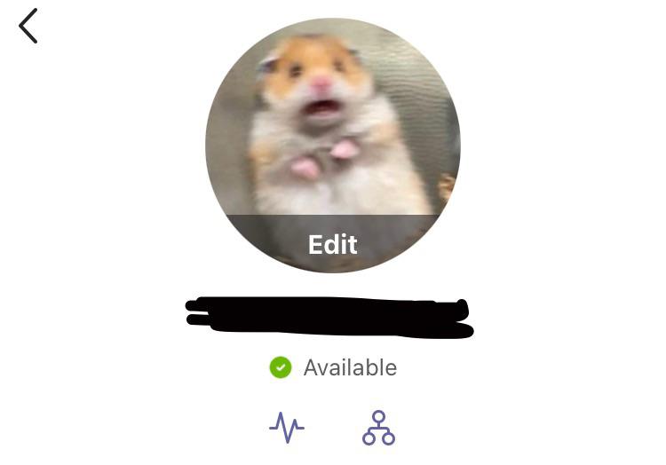 My Microsoft team profile... It's my third month at this job | Scrolller