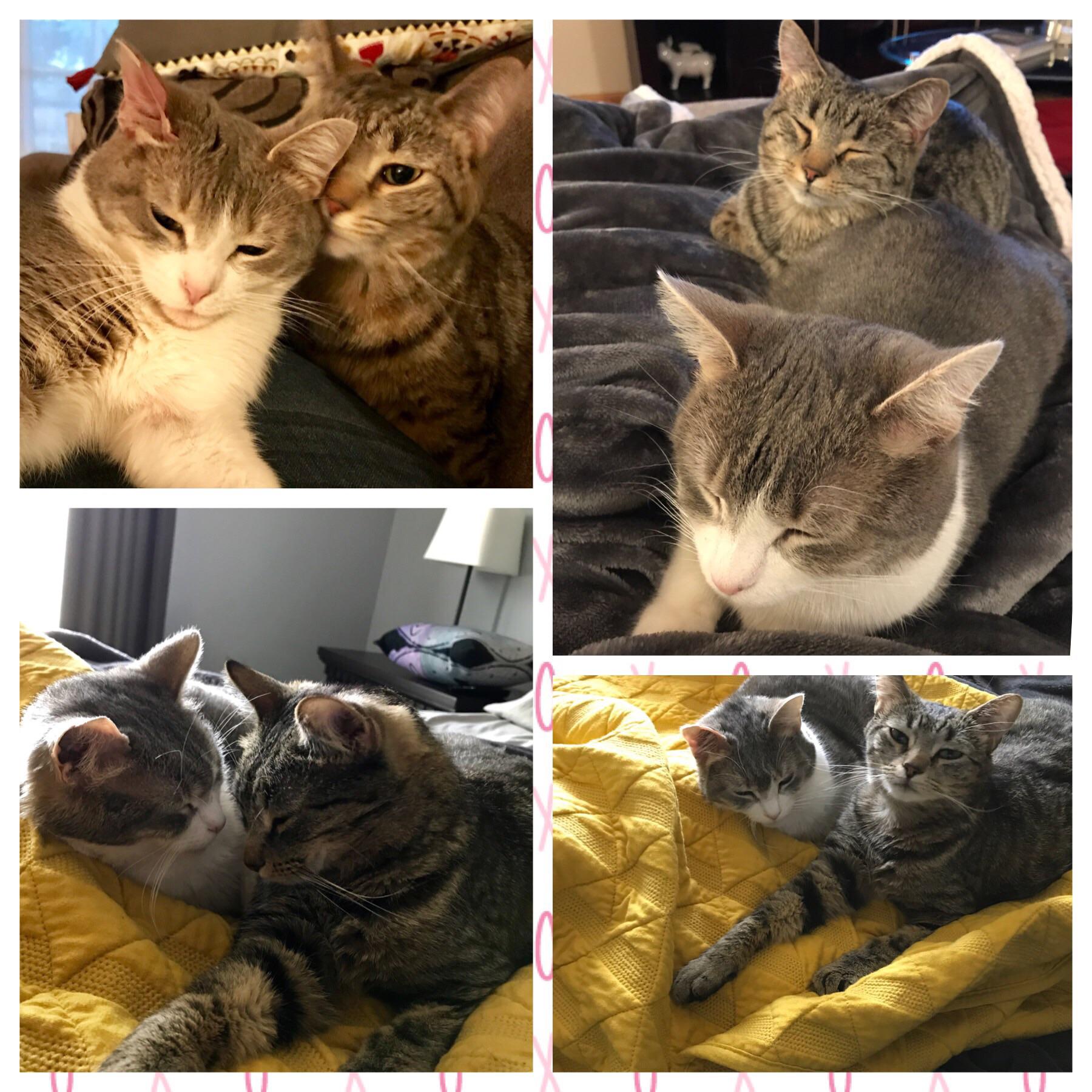 My Mom & Daughter Cuddle Duo | Scrolller