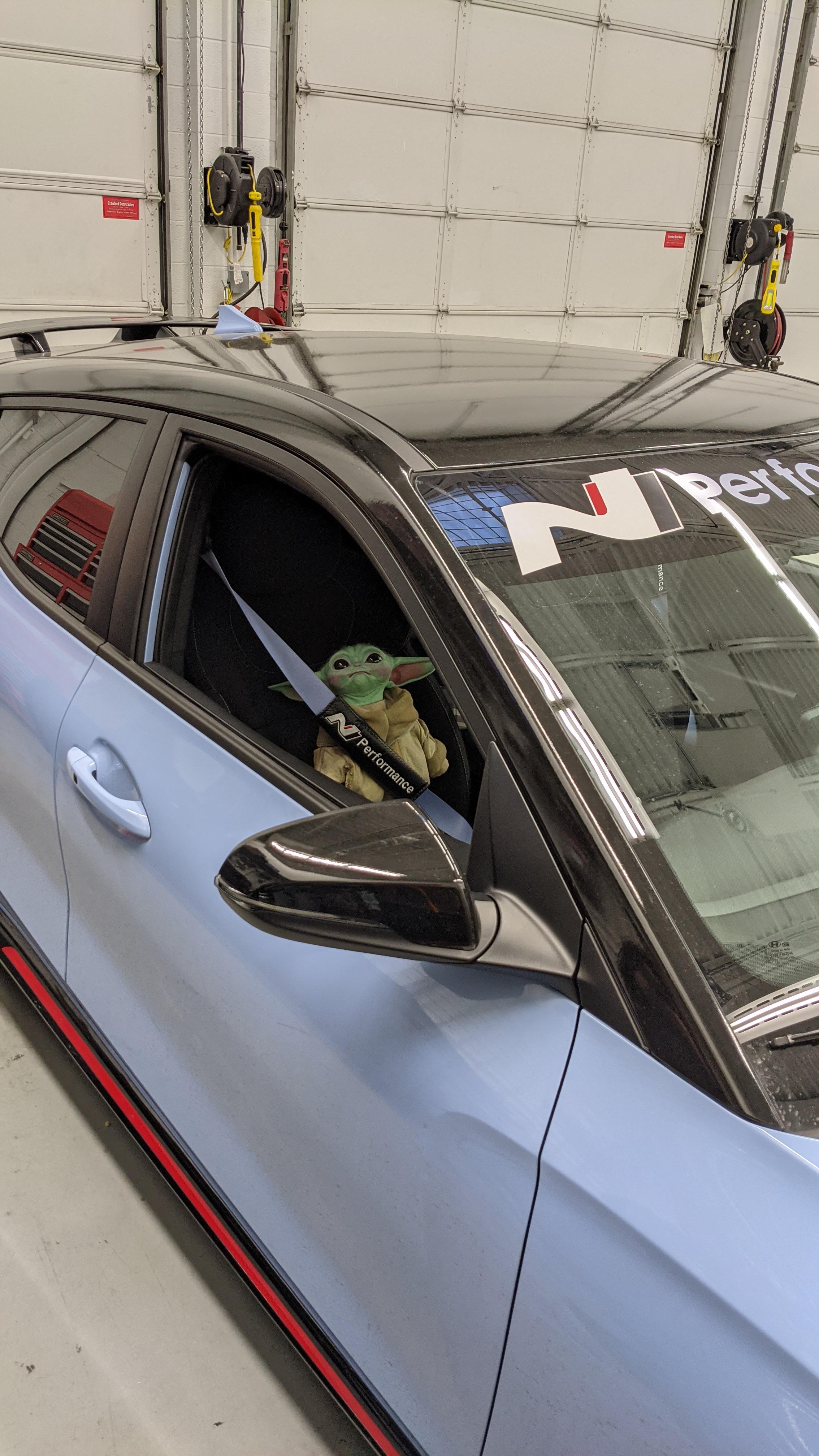 My new co-pilot!! | Scrolller