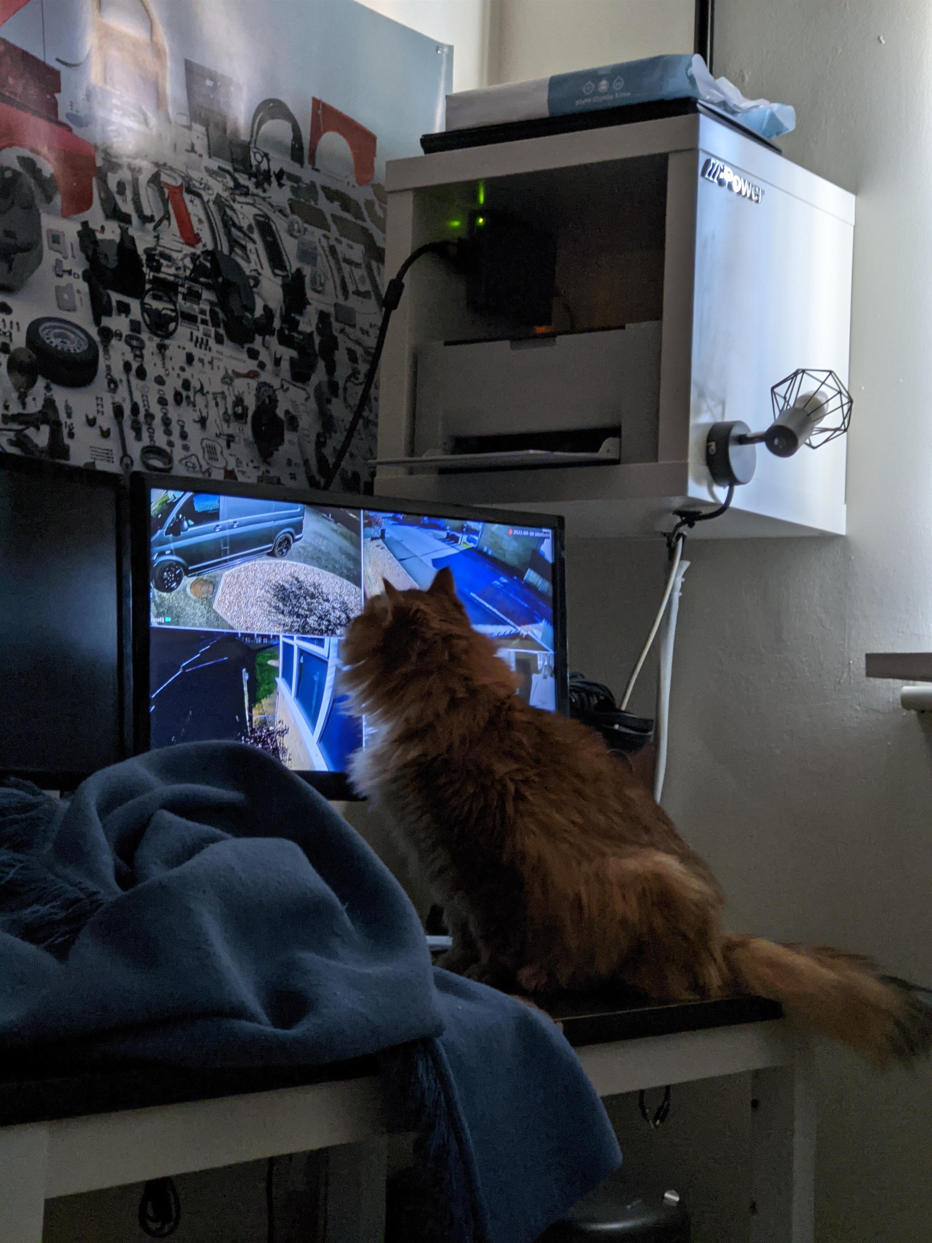 My new head of security | Scrolller