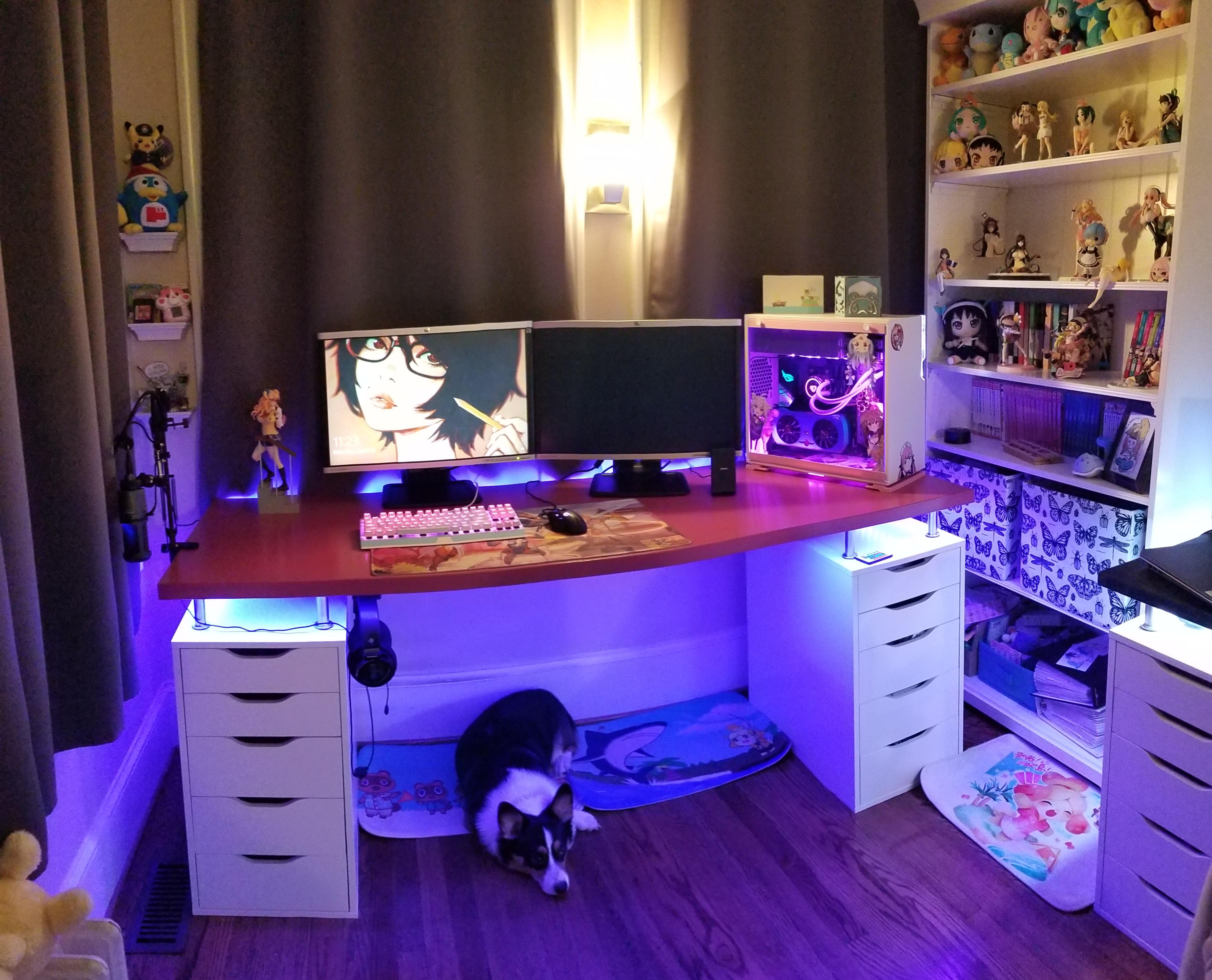 My new ikea setup, equipped with mats for the corgi. He likes his new lair. | Scrolller