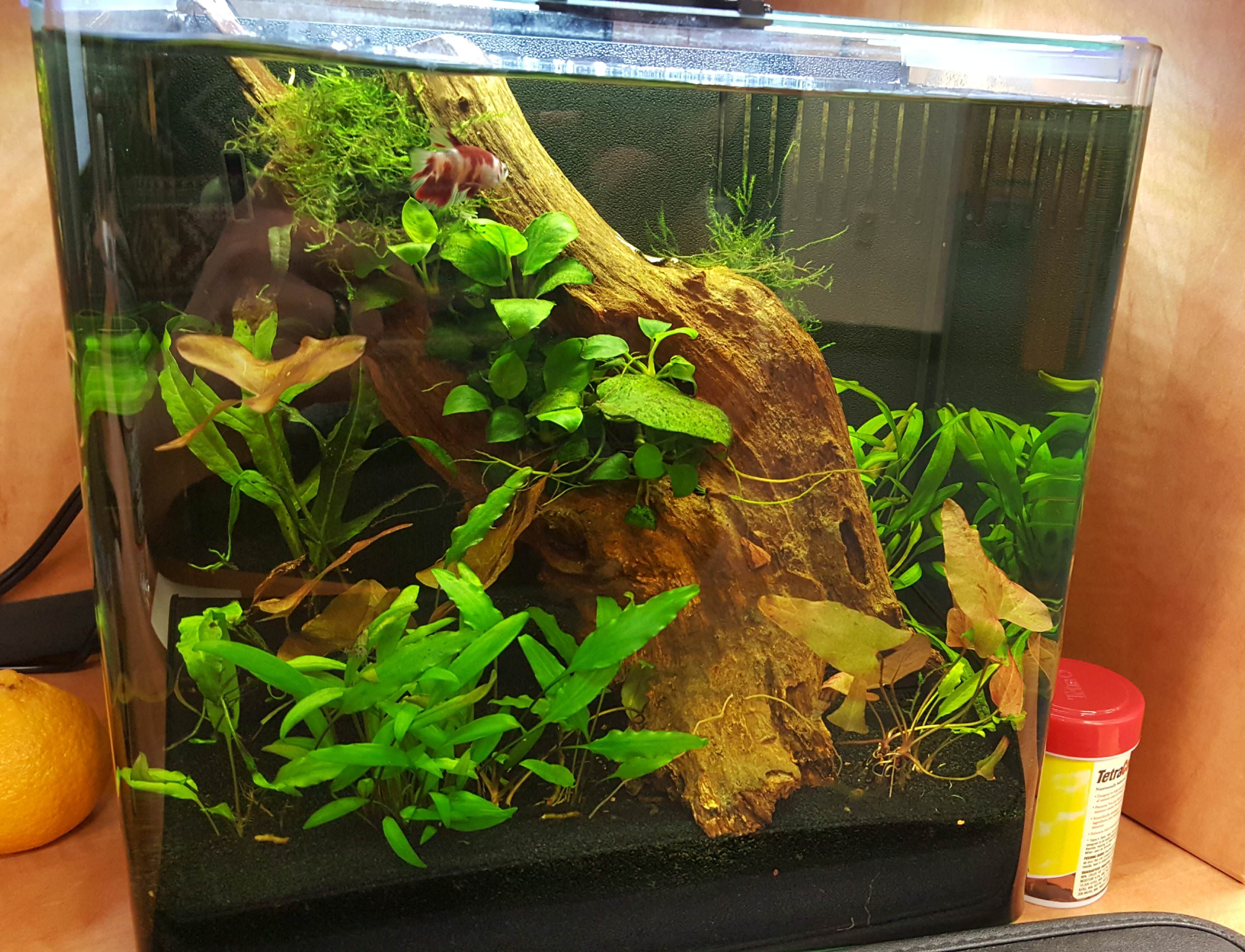 My new office setup | Scrolller