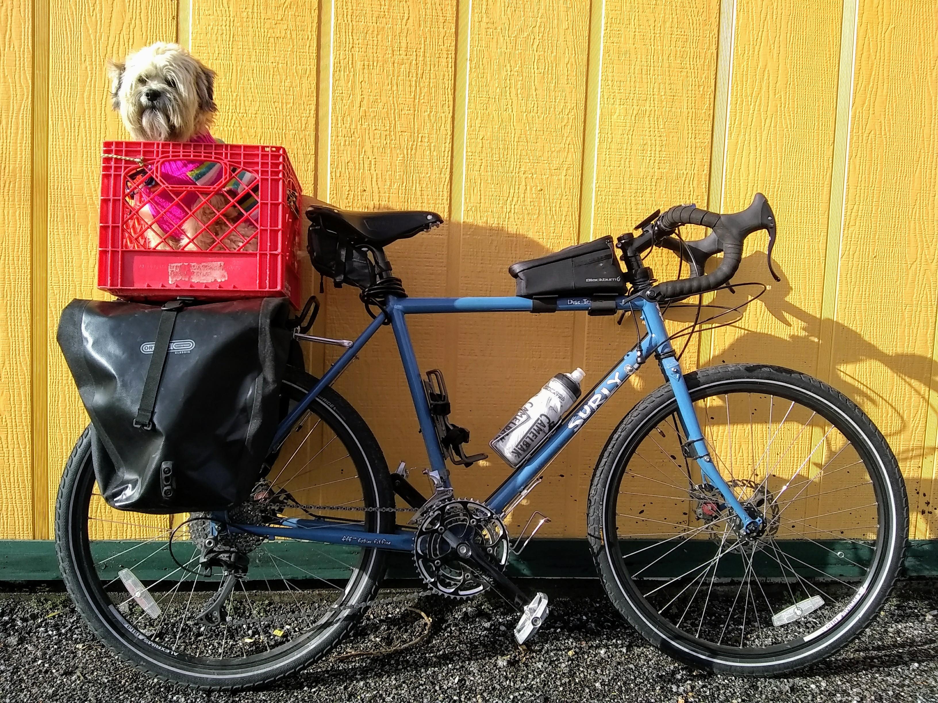 My occasional co-pilot. . . | Scrolller