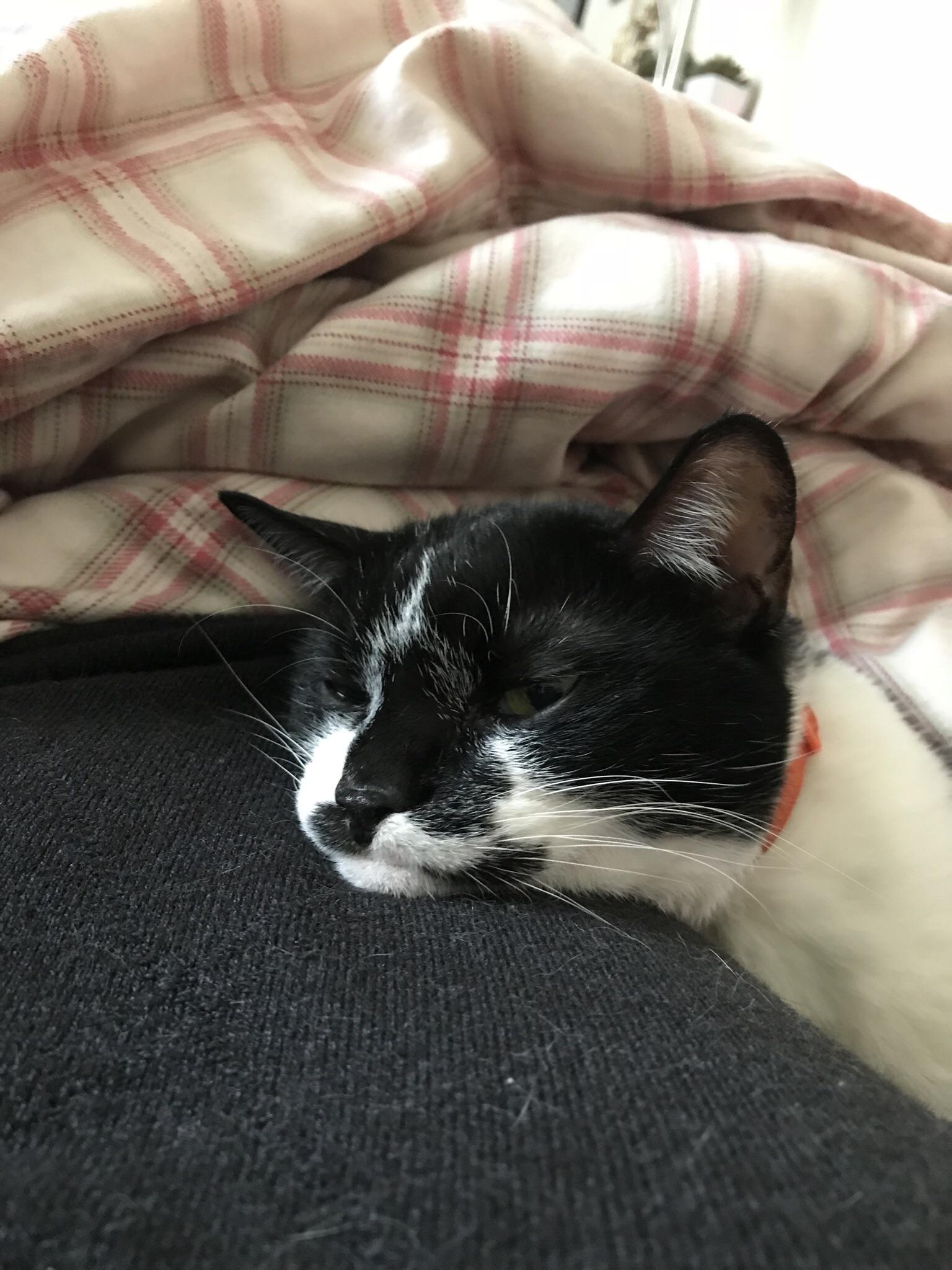 My old man looking as grumpy as ever | Scrolller