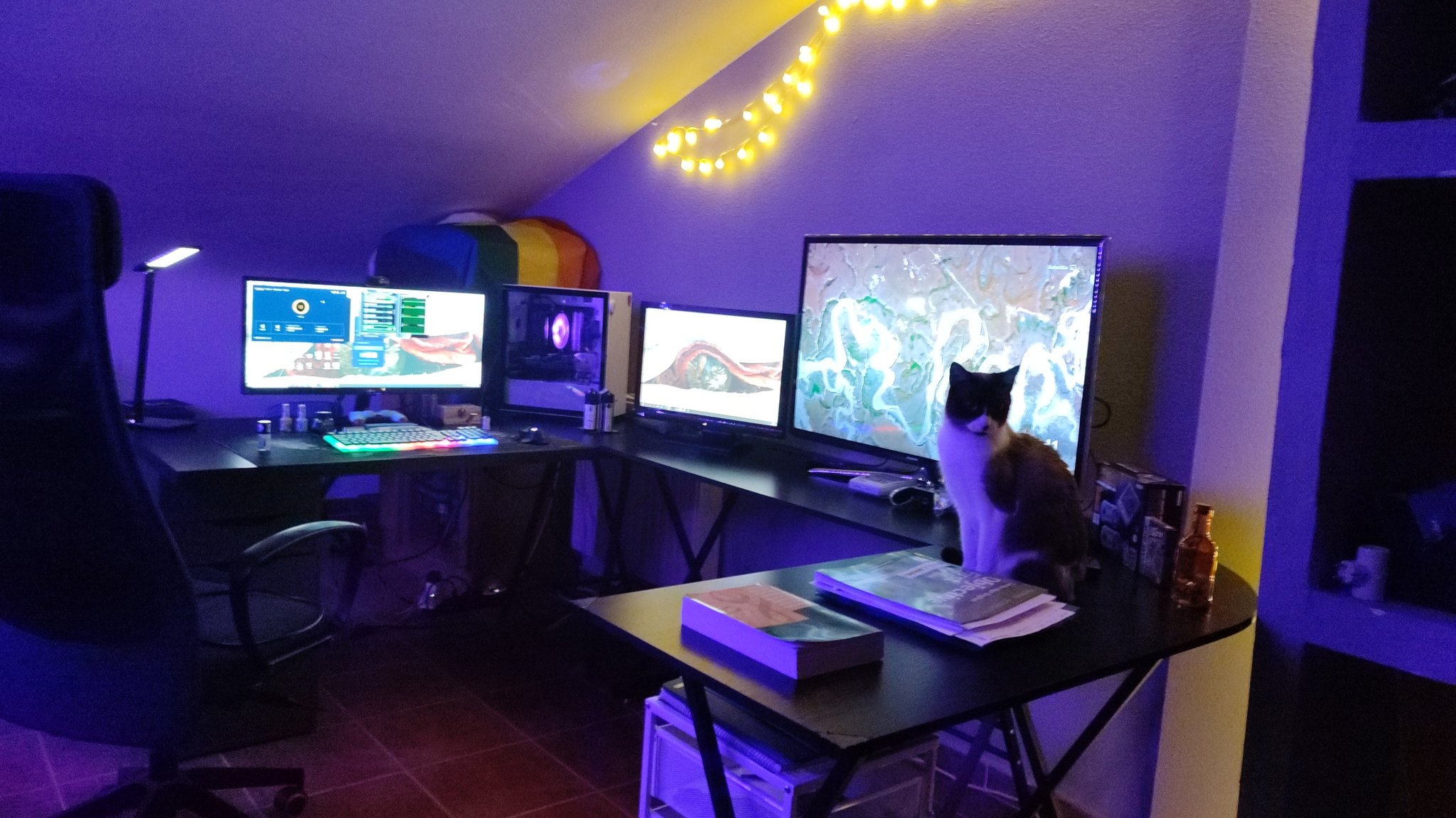 My on a budget battlestation/workstation | Scrolller