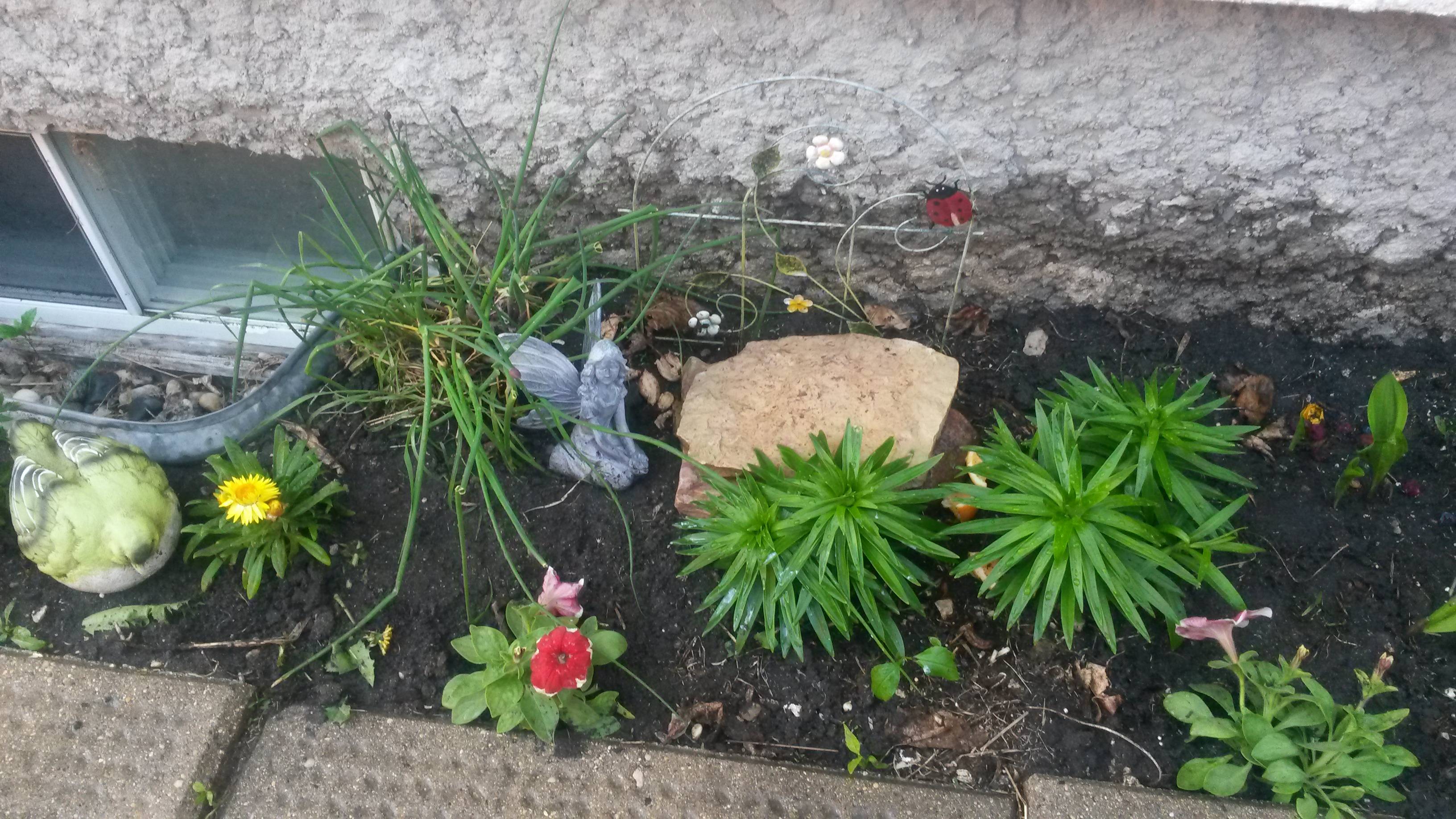 My outdoor Faery altar - still a work in progress | Scrolller
